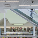 Glen Oaks Branch Library / Marble Fairbanks | ArchDaily
