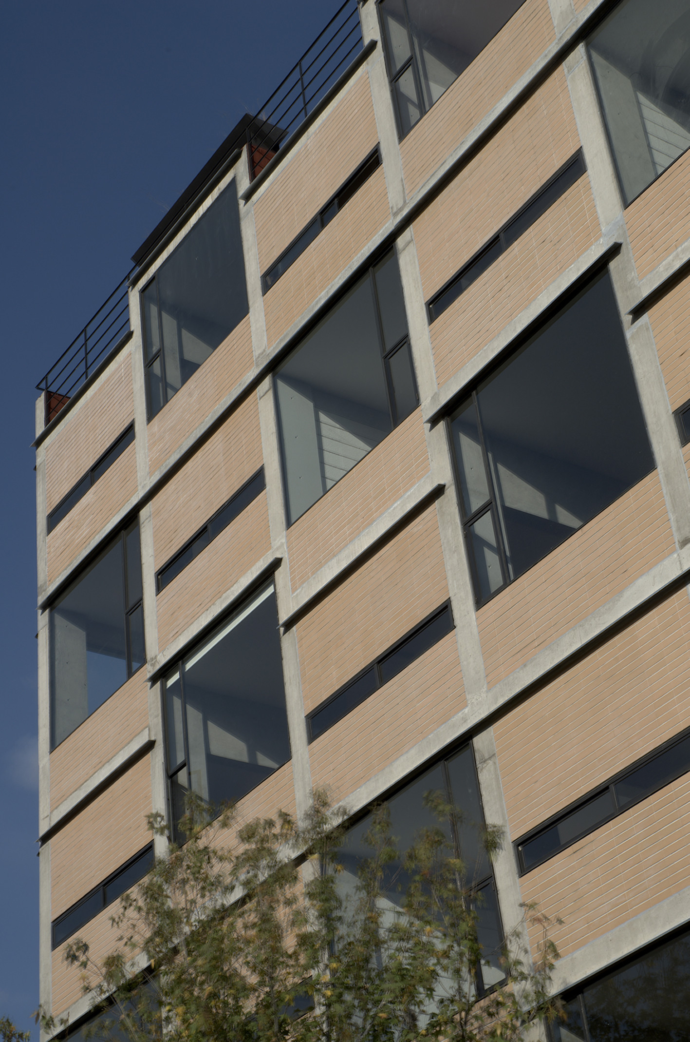 Gallery of Francisco Ramírez 43 / Alter Arquitectura - 3