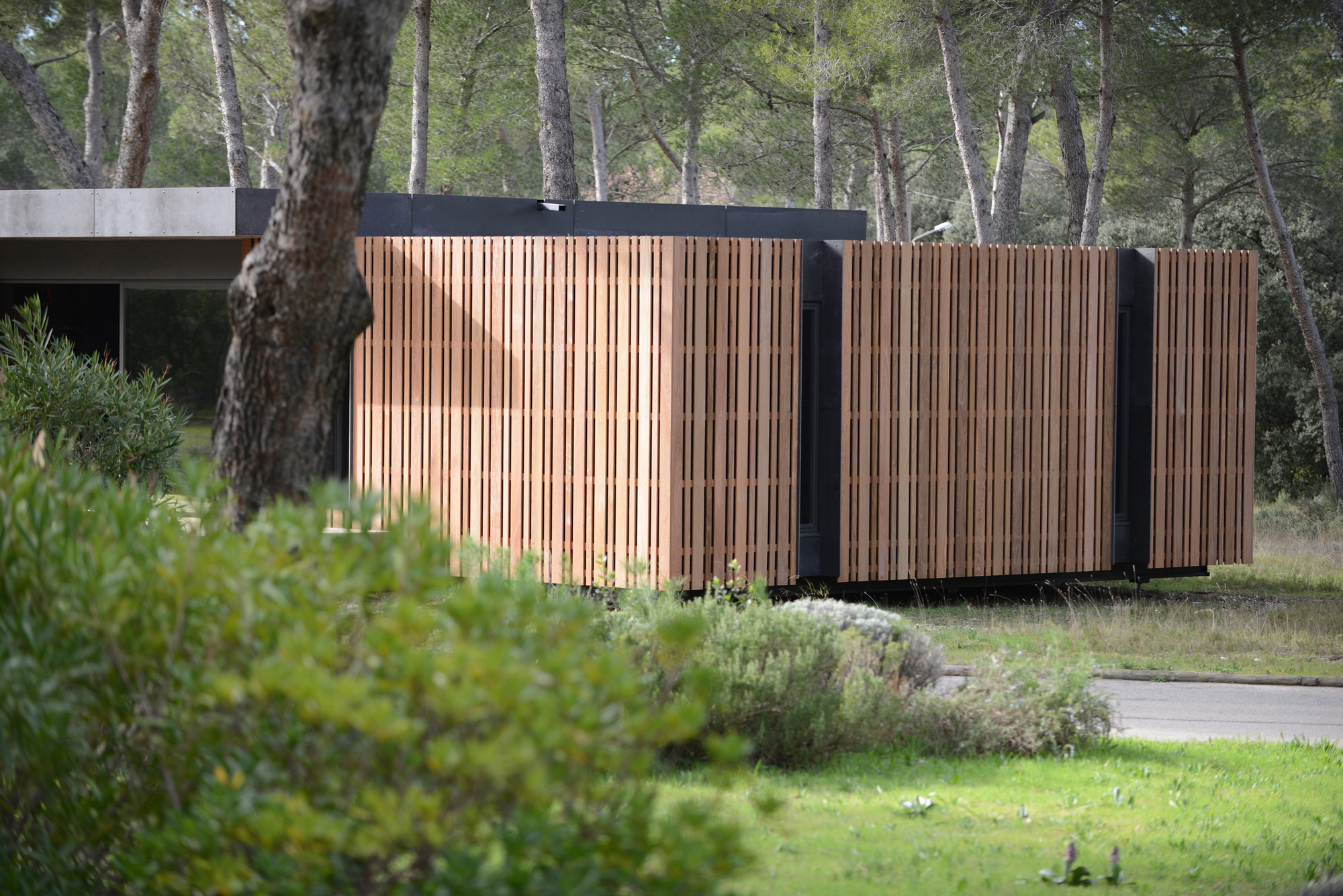 Gallery of Pop-Up House / Multipod Studio - 7