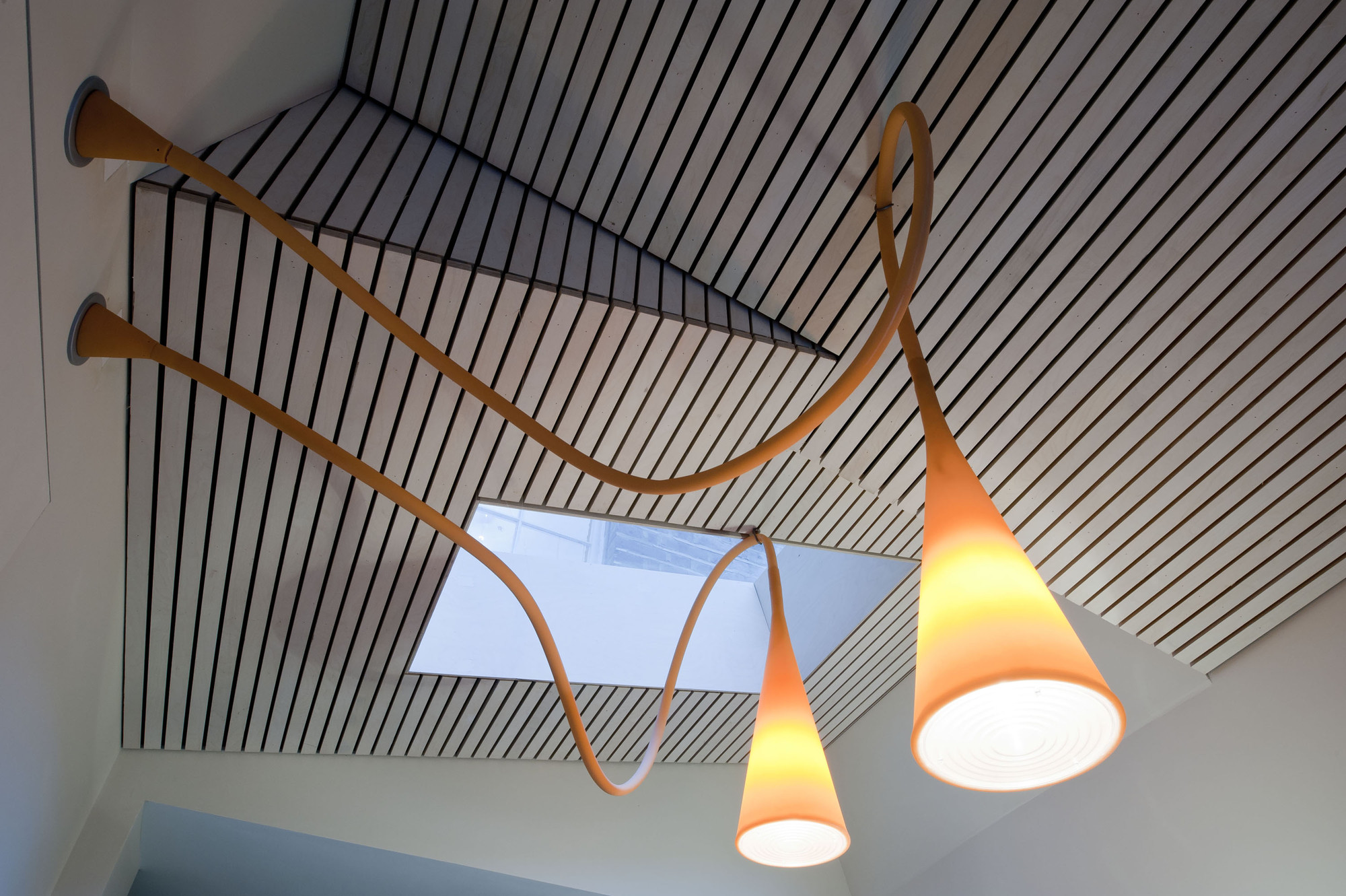 Gallery of The Jewel Box / Fraher Architects - 9