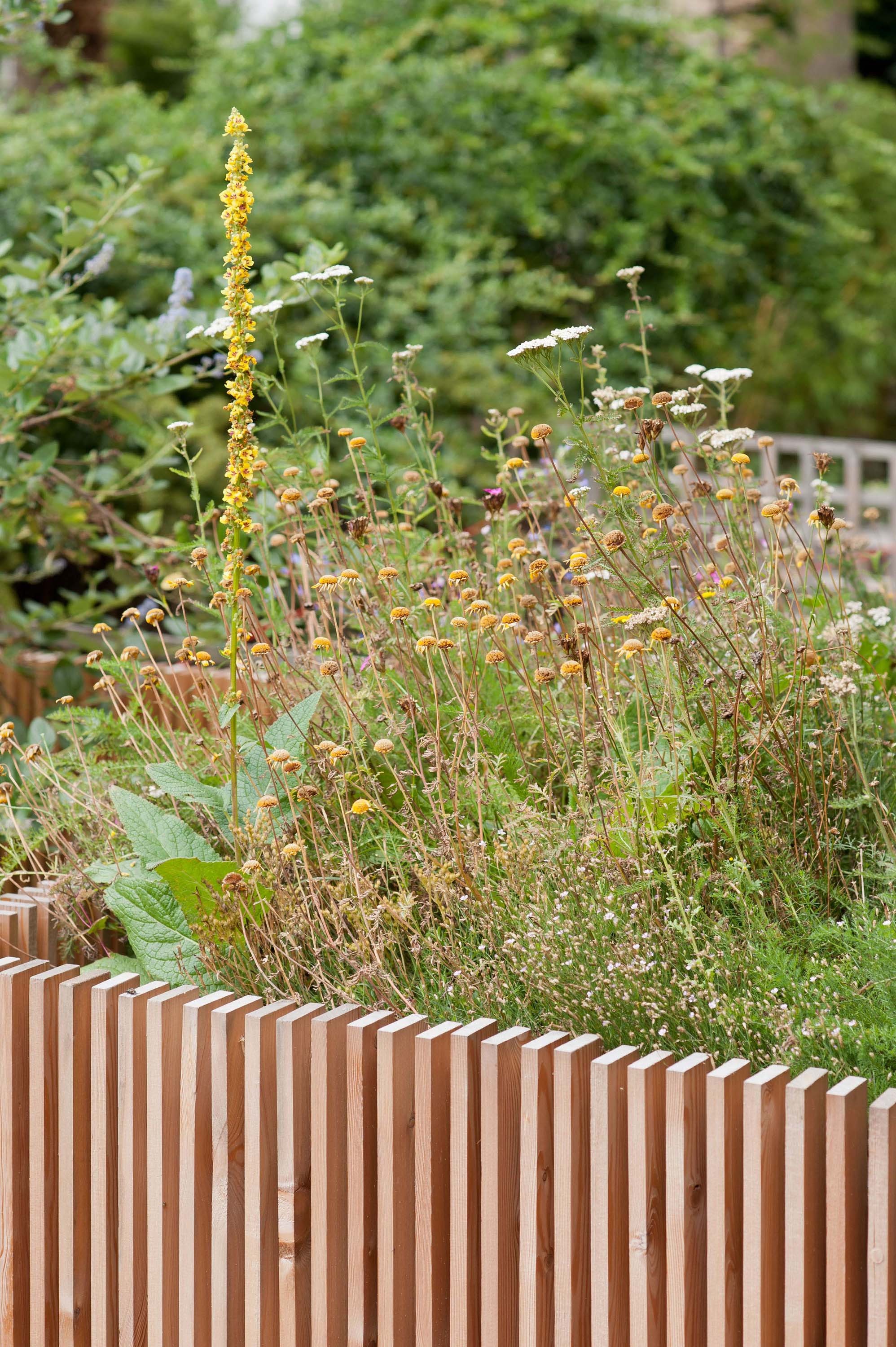 Gallery of The Jewel Box / Fraher Architects - 15