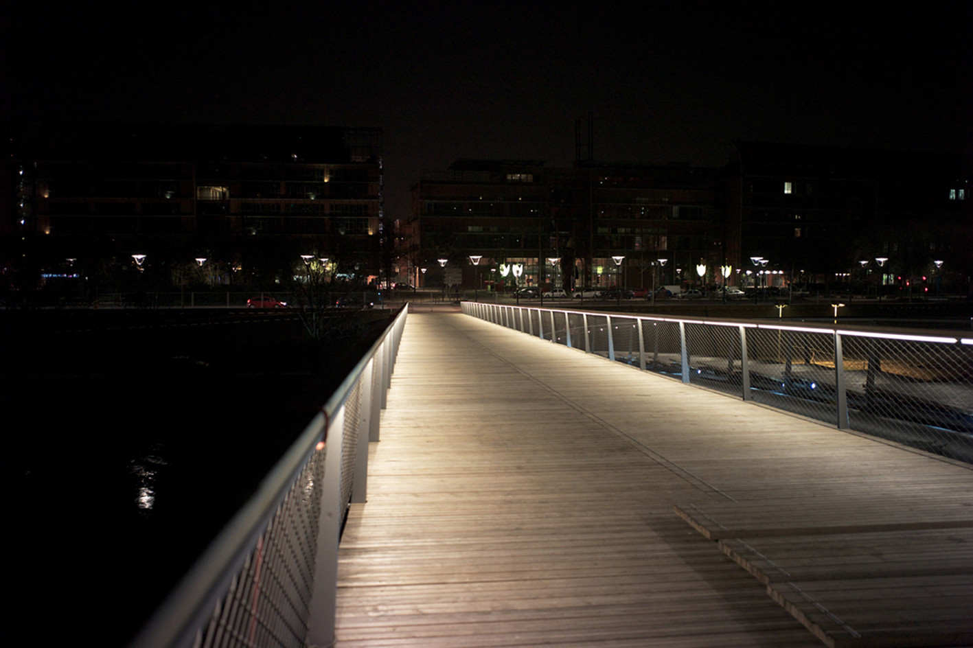 Gallery of Passerelle de la Paix / Dietmar Feichtinger Architectes - 23