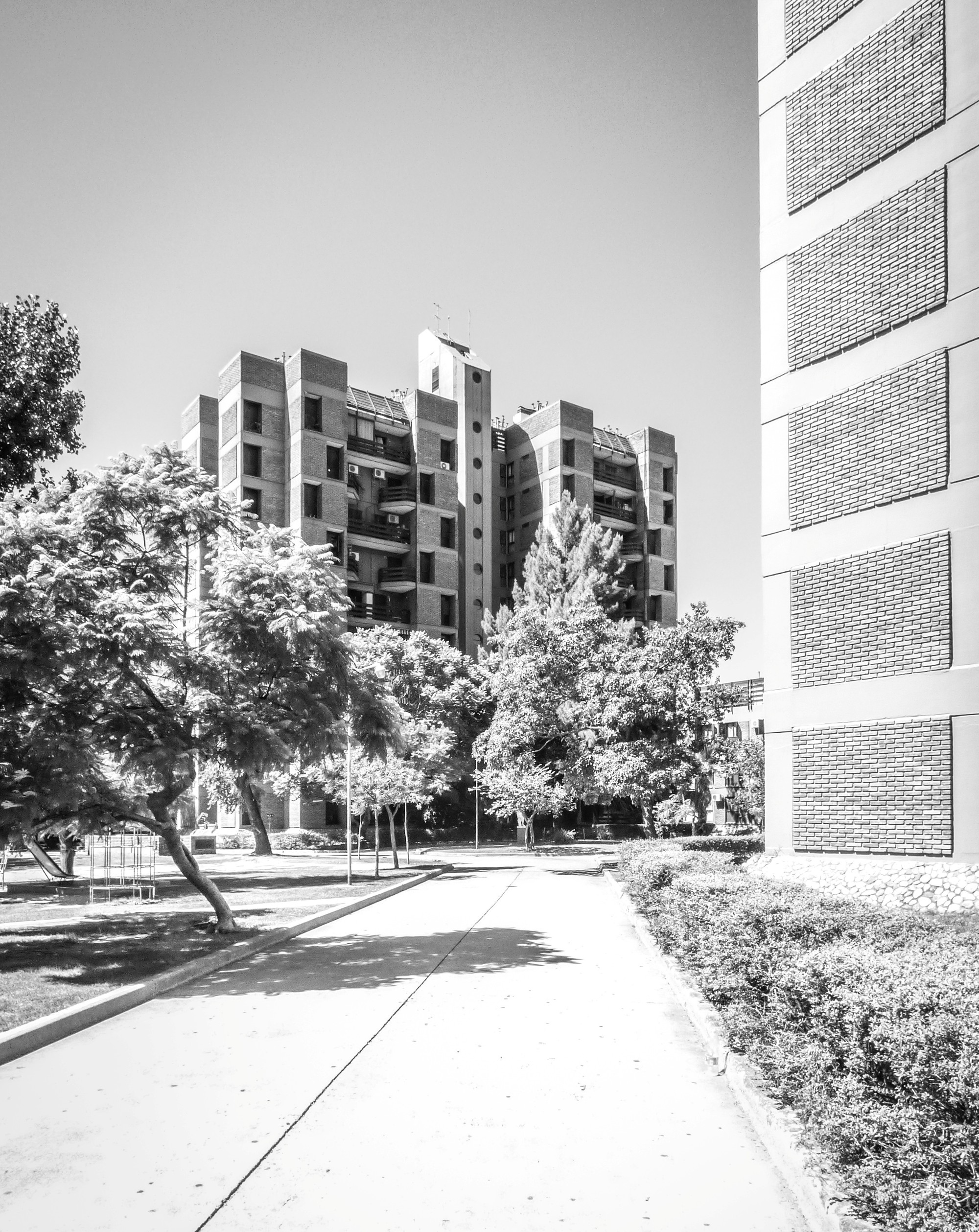 Galería de Clásicos de Arquitectura: Torres de Junior / Remo Moretti - 2