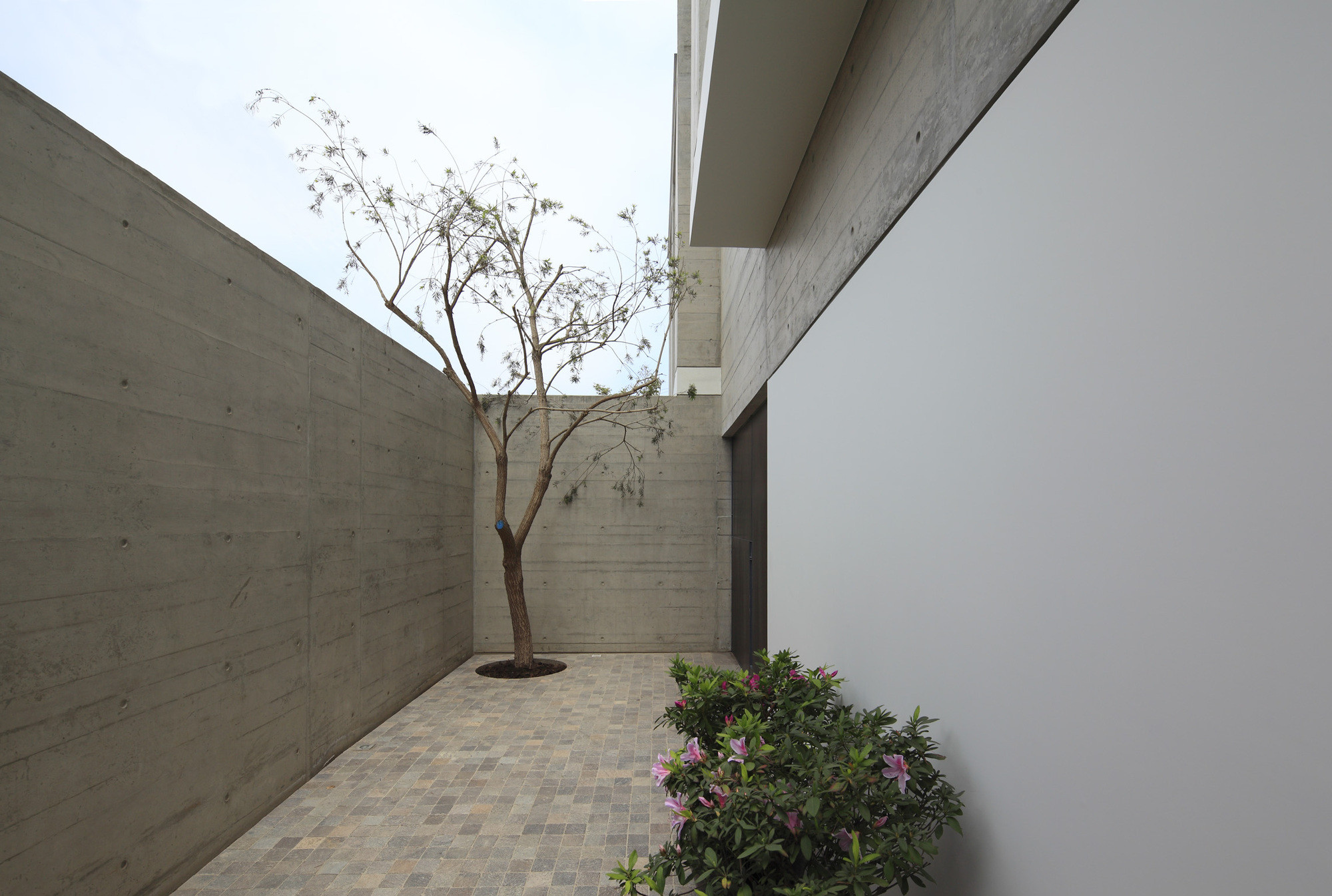 Galería de En Detalle: Patio Interior - 10