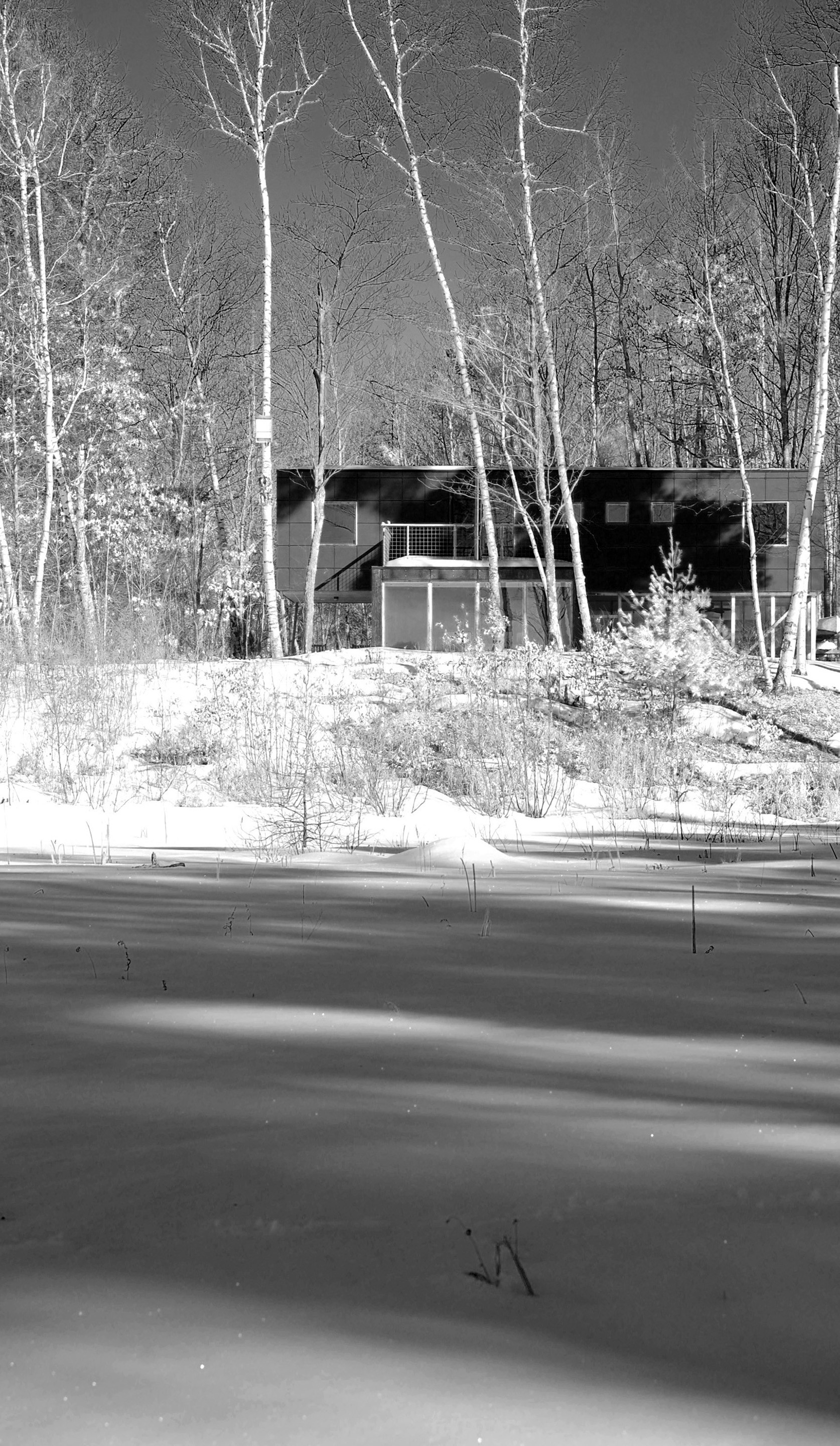 Gallery of Two Bear Retreat / Edward M. Doyle - 8