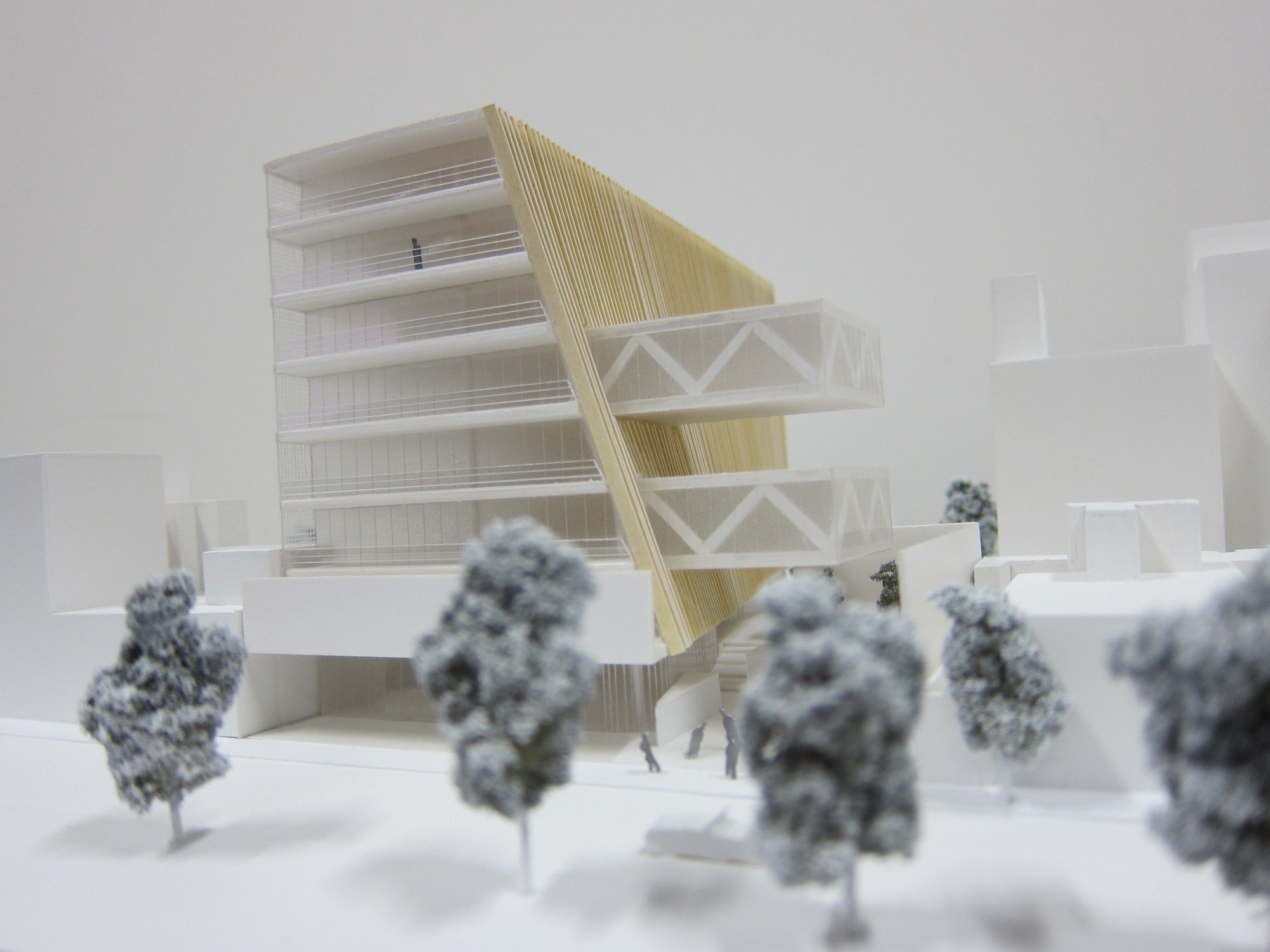 Galería de Proyecto Rio Tiber / Taller David Dana + Cherem Arquitectos - 22