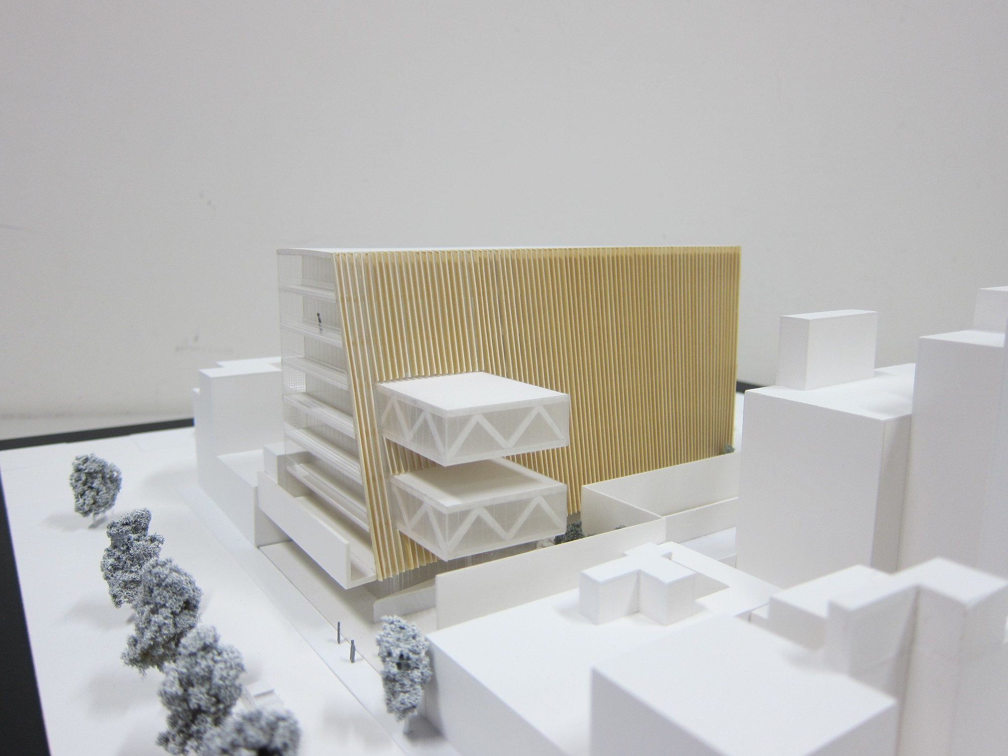 Galería de Proyecto Rio Tiber / Taller David Dana + Cherem Arquitectos - 23