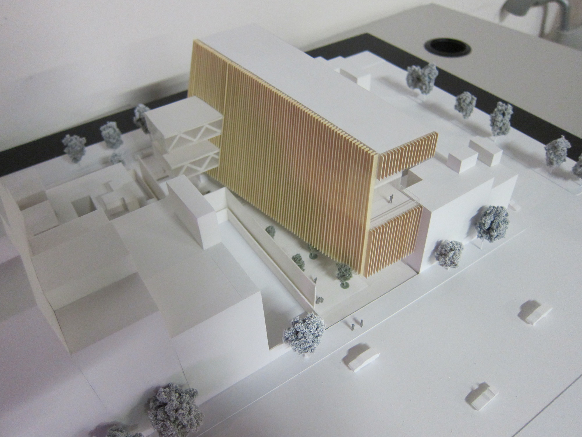 Galería de Proyecto Rio Tiber / Taller David Dana + Cherem Arquitectos - 21