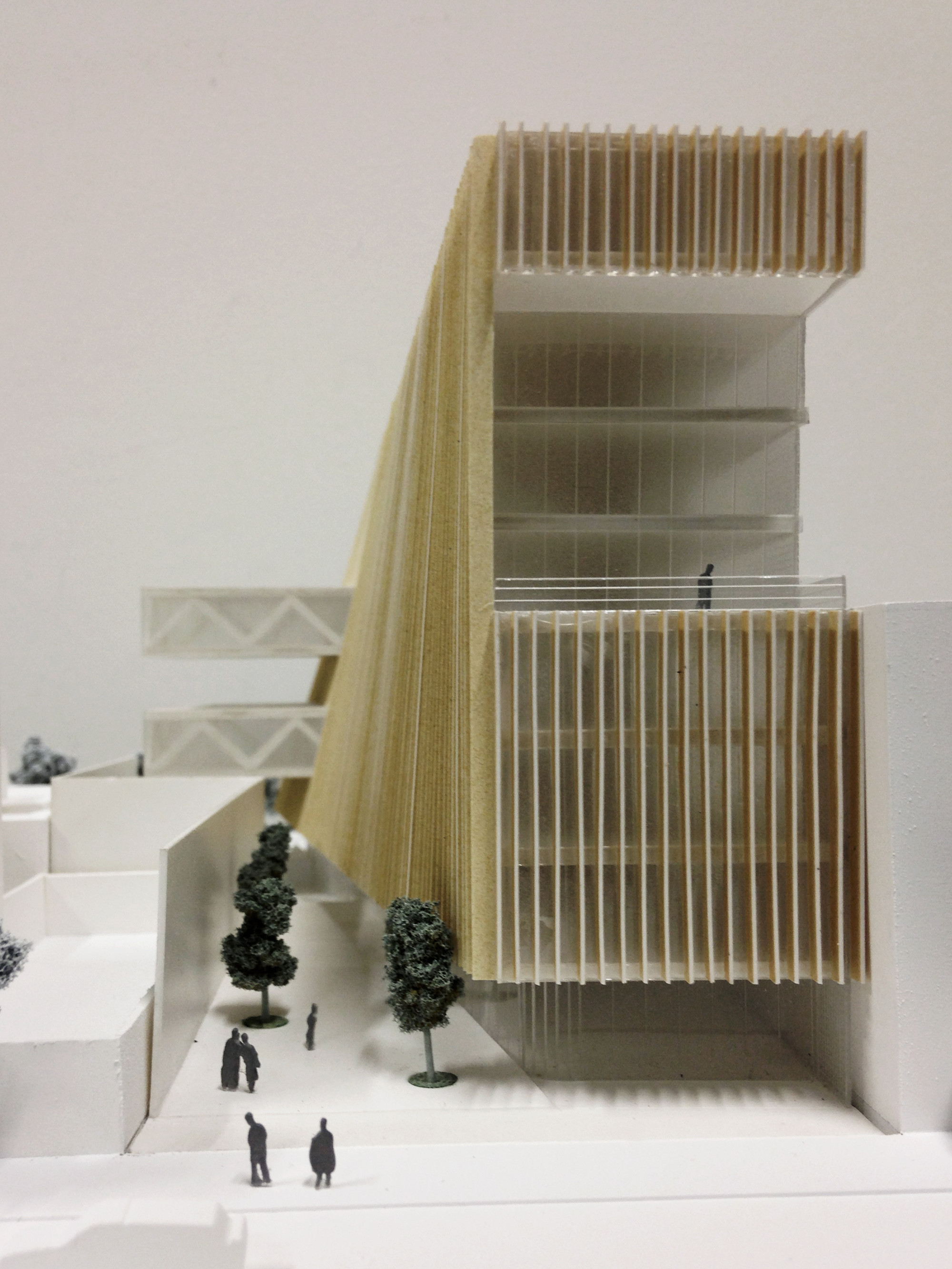 Galería de Proyecto Rio Tiber / Taller David Dana + Cherem Arquitectos - 26