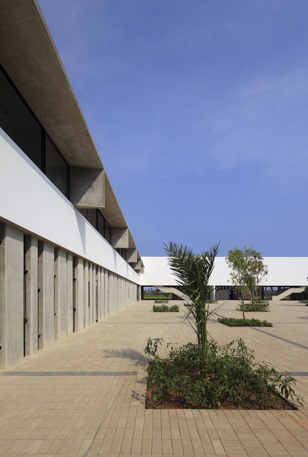 Gallery of LVC School / Nomena + Patricio Bryce - 4
