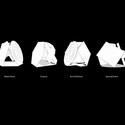 5 Years Later, A Look Back on OMA's Prada Transformer | ArchDaily