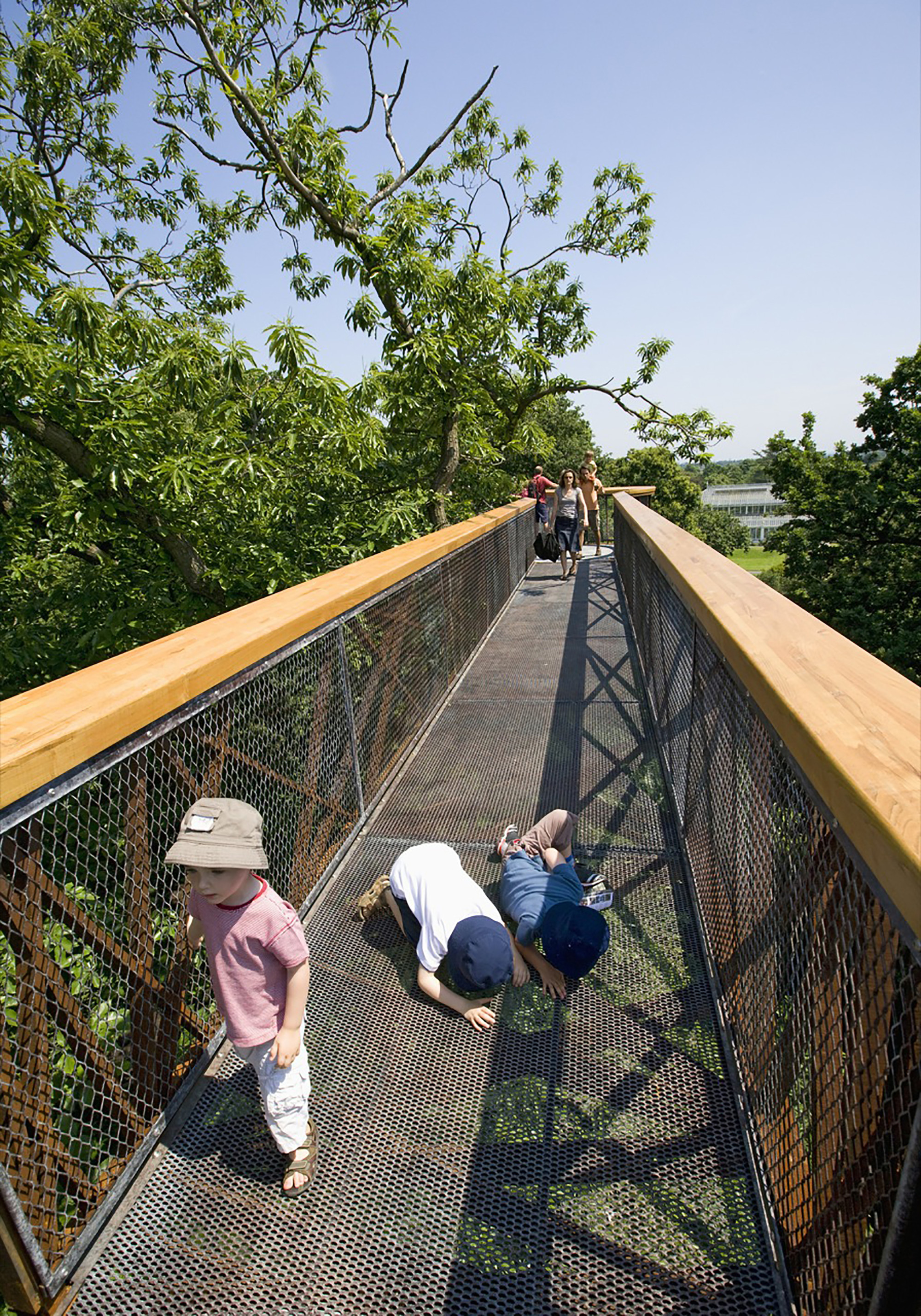 Gallery of Kew Tree Top Walkway & Rhizotron / Marks Barfield Architects - 2