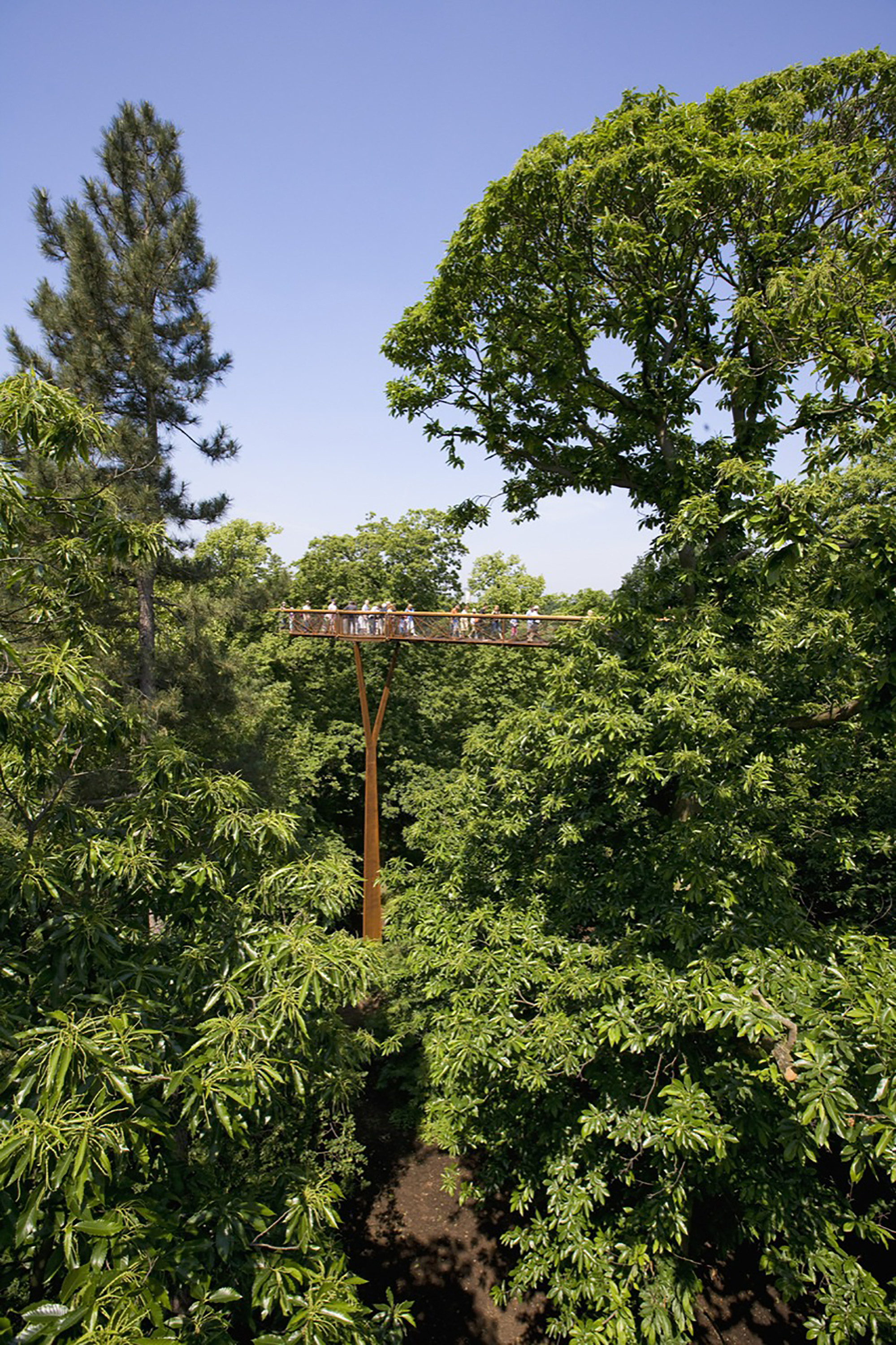 Gallery of Kew Tree Top Walkway & Rhizotron / Marks Barfield Architects - 7