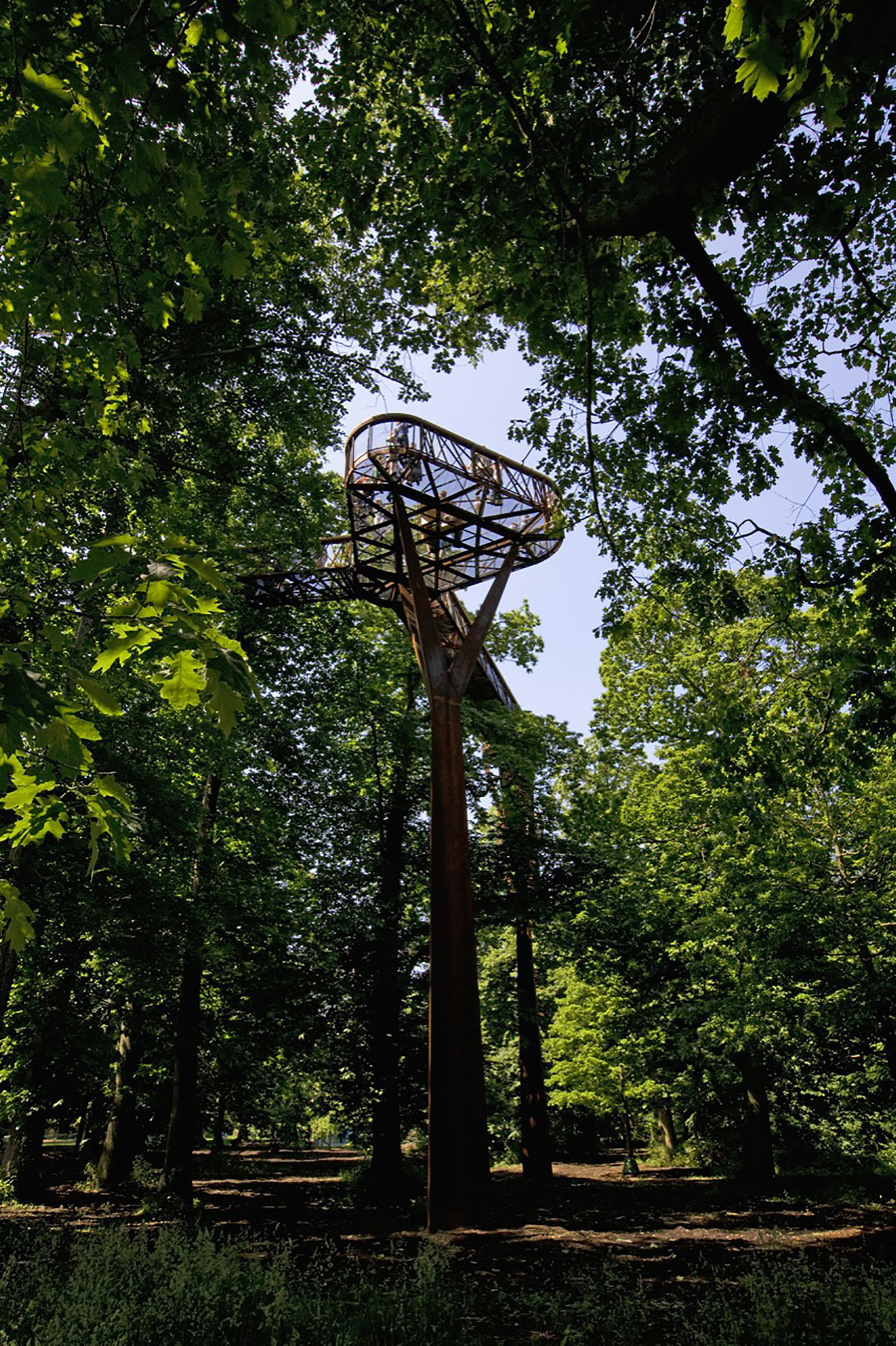 Gallery of Kew Tree Top Walkway & Rhizotron / Marks Barfield Architects - 8