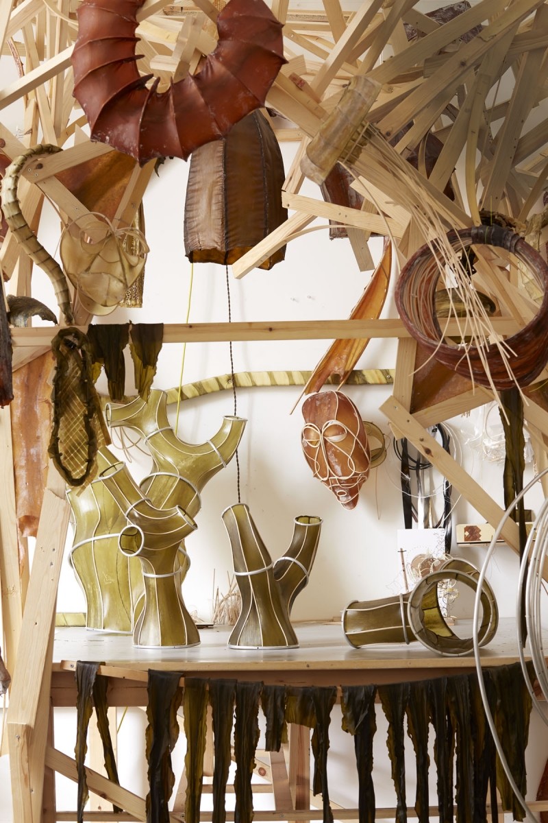 Gallery of Seaweed, Salt, Potatoes, & More: Seven Unusual Materials ...