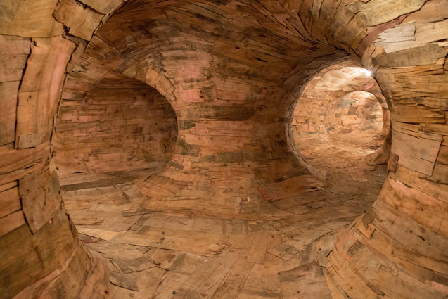 Gallery of Brazilian Artist Builds Labyrinth of Wooden Roots - 4