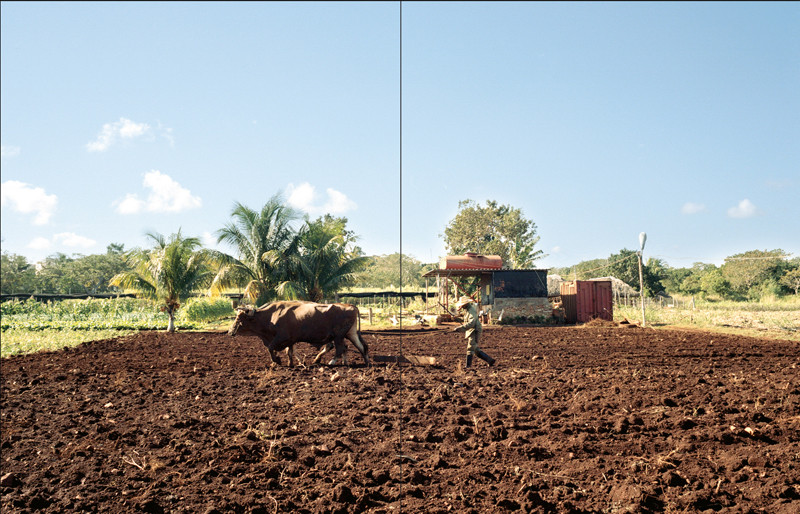 Gallery of Farming Cuba: Urban Agriculture from the Ground Up - 4