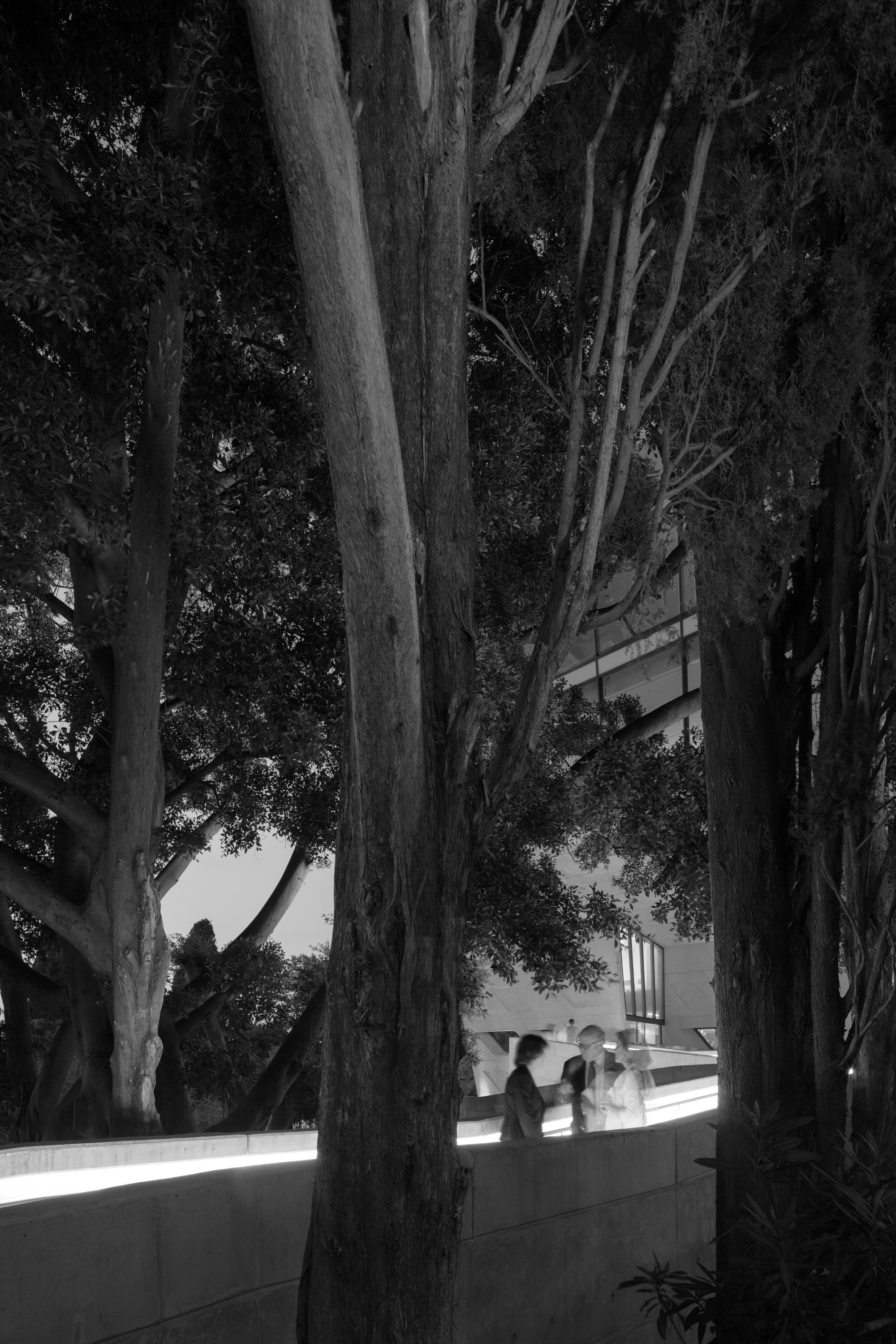 Galería de Instituto Issam Fares – Universidad Americana de Beirut ...