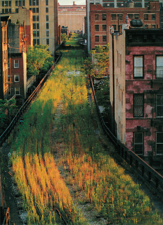 Gallery of From "The Landscape Imagination" - James Corner's Essay on ...