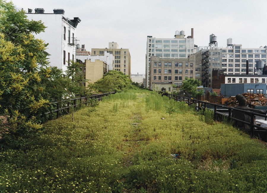 Gallery of From "The Landscape Imagination" - James Corner's Essay on ...