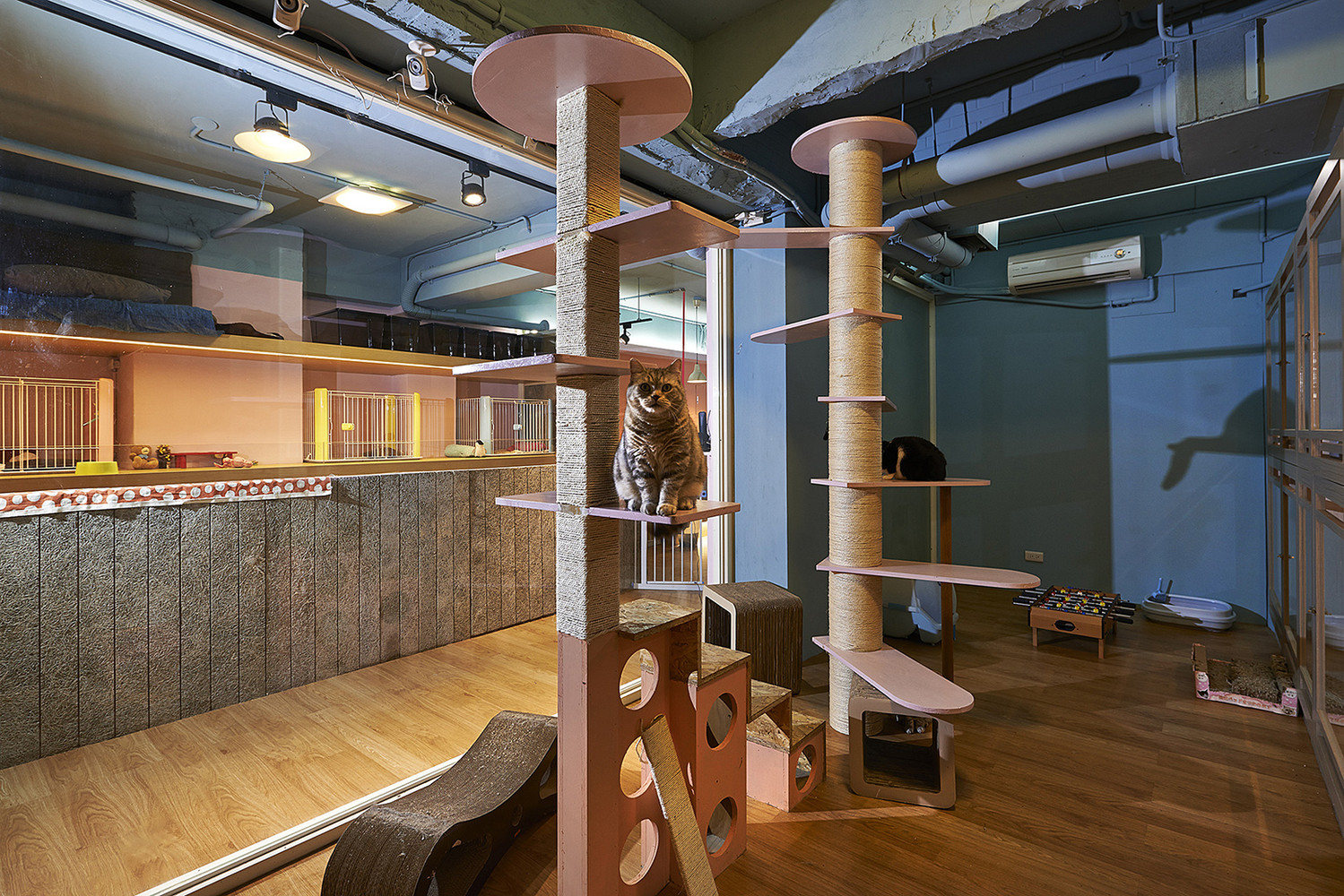 Gallery Of Petaholic Hotel Sms Design 1 Gallery Of Petaholic Hotel Sms Design 1