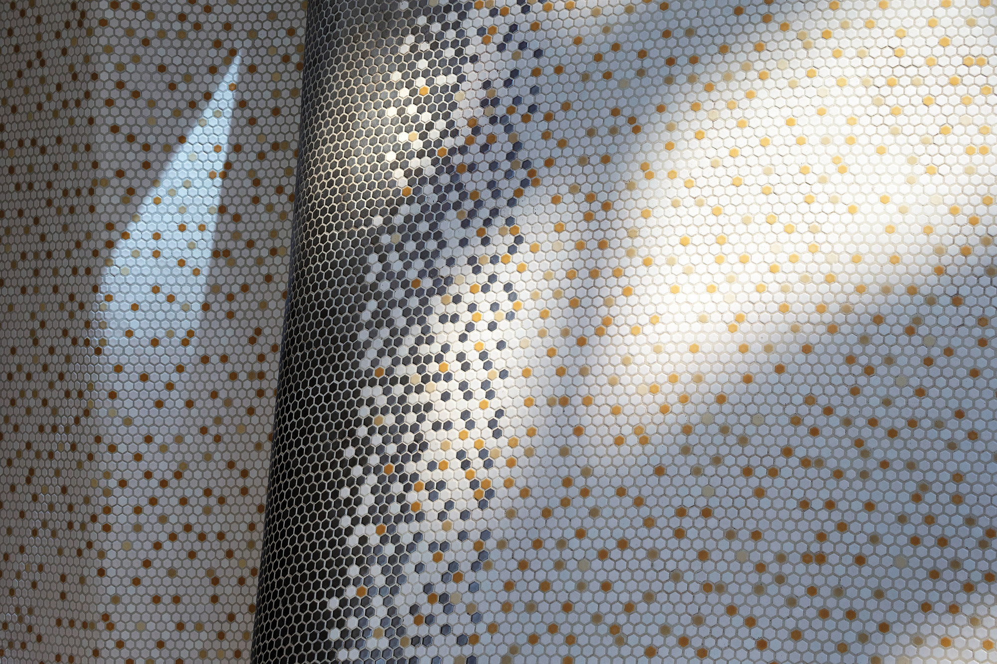 Galería de Edificio Lotus y el parque Popular / studio505 - 11