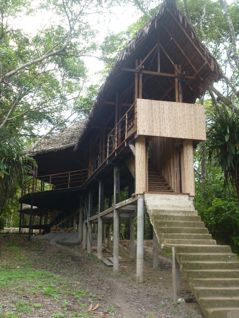 Galería de Treehouse Lodge: Imponentes estructuras de madera para ...
