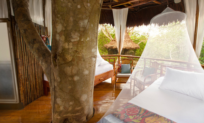 Galería de Treehouse Lodge: Imponentes estructuras de madera para ...