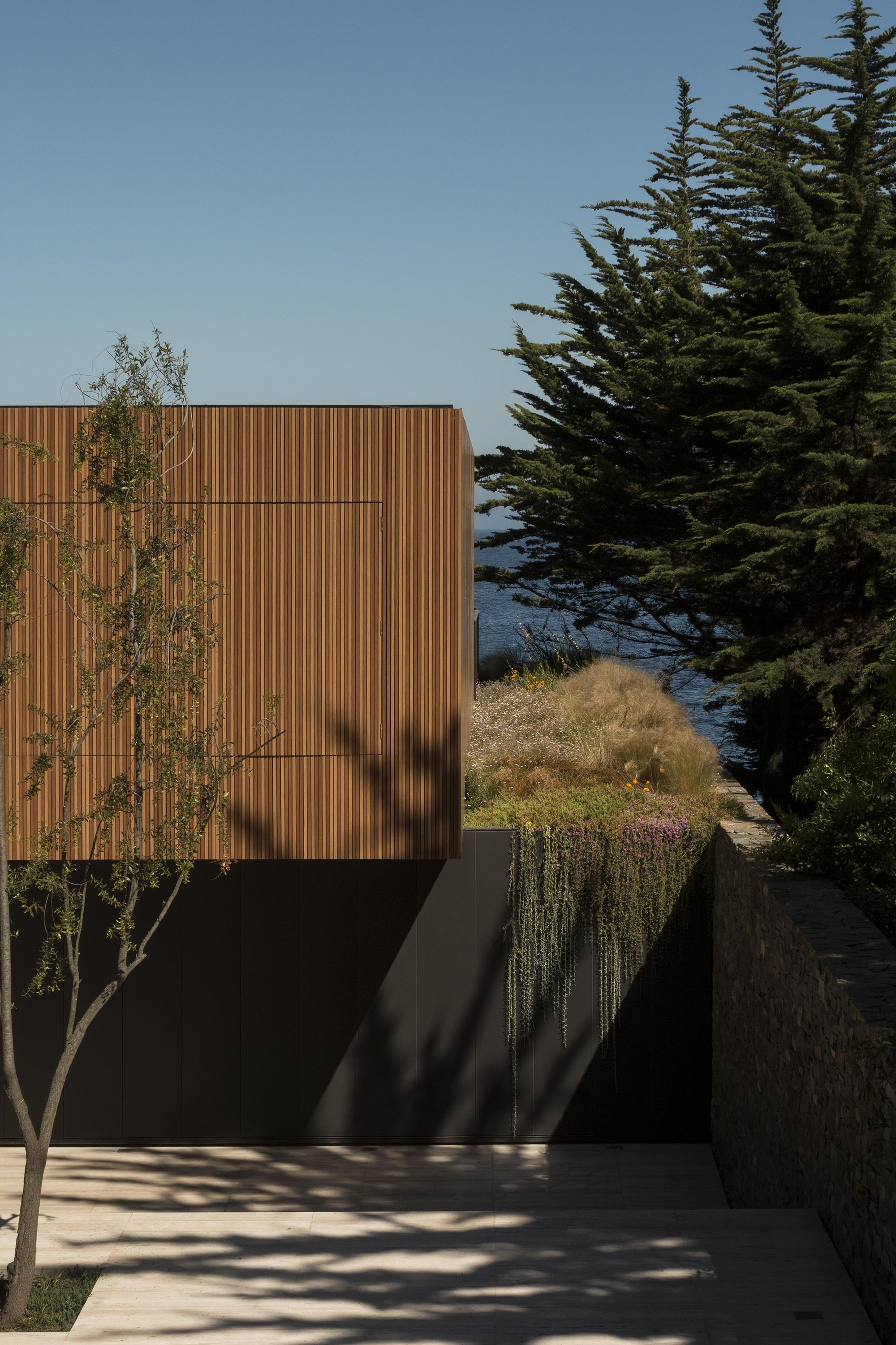 Galeria de Casa Rocas / studio mk27 - 10