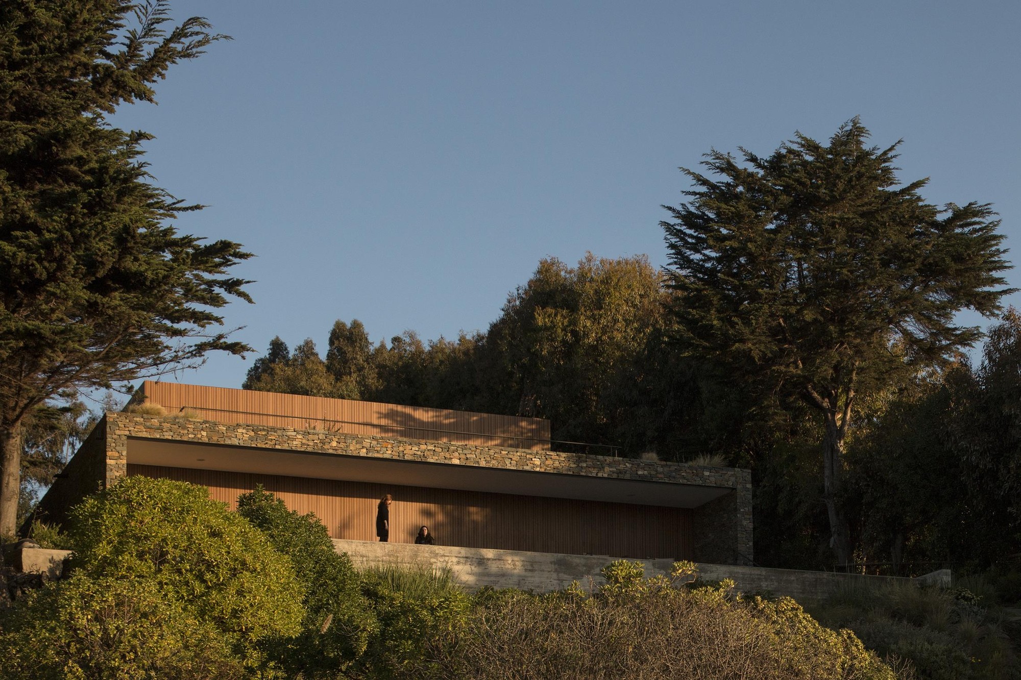 Galería de Casa Rocas / studio mk27 - 30