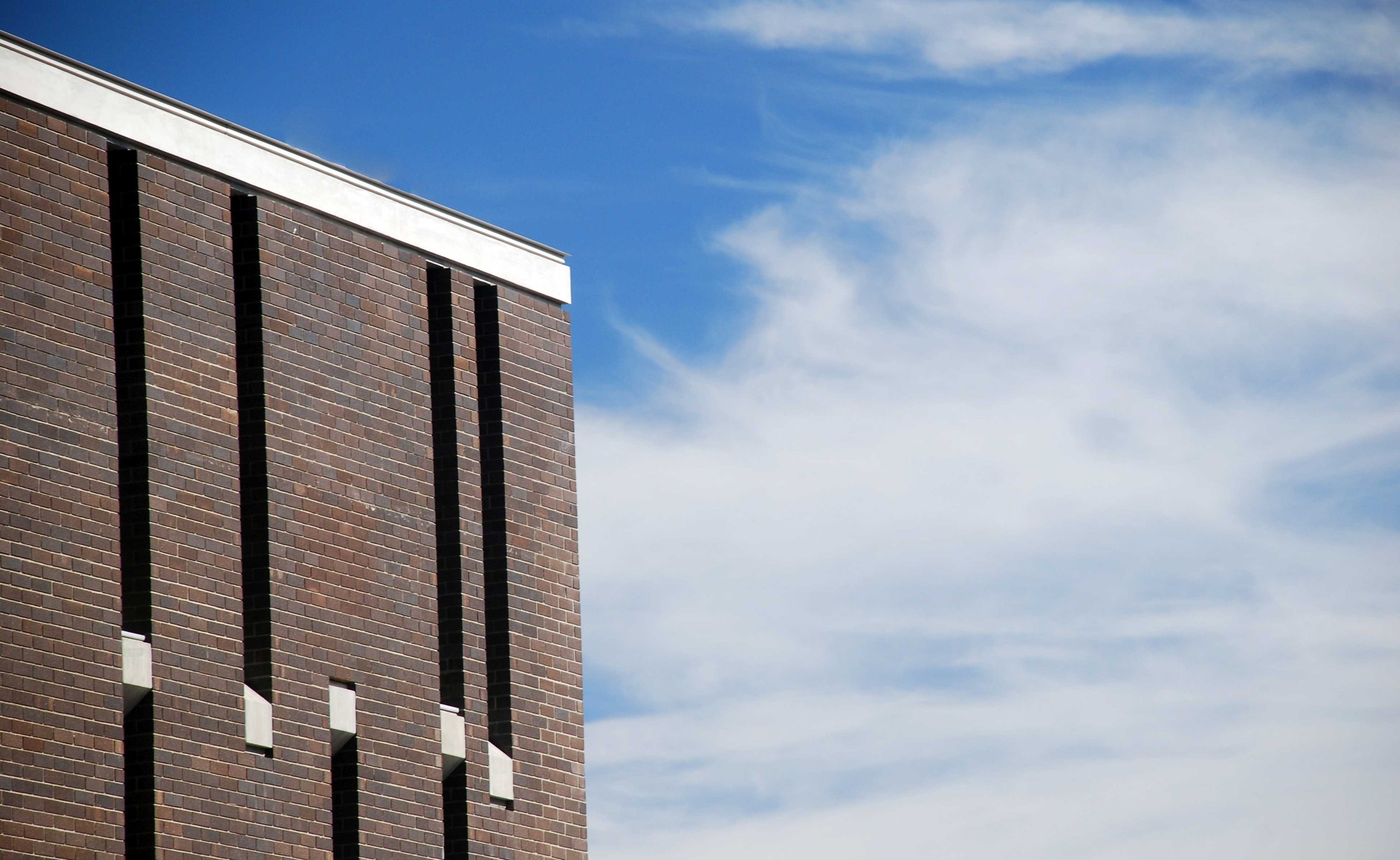 Gallery of OMLC / Tzannes Associates - 2