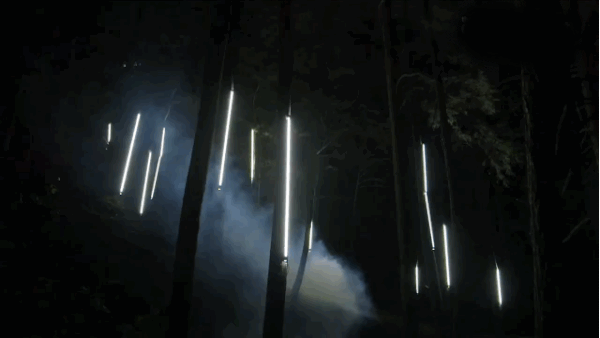 Foresta Lumina reune Diseño, Arquitectura y Luz profunda en un bosque ...