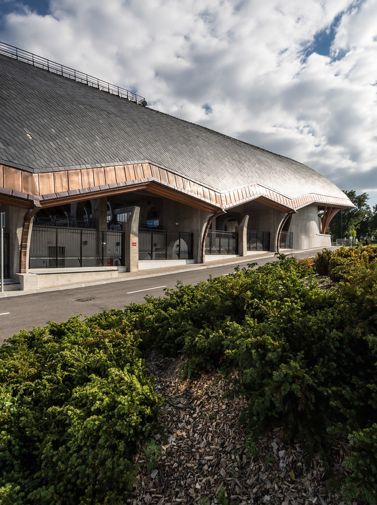 Gallery of Pancho Arena / Tamás Dobrosi + Doparum Architects - 16