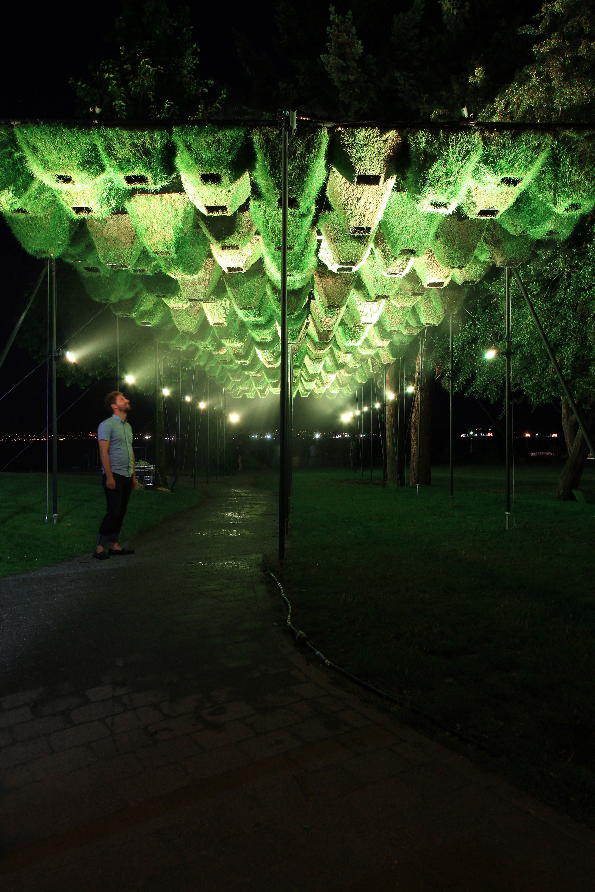 Gallery of Move Over, Green Walls: Living Canopy Comes to West ...