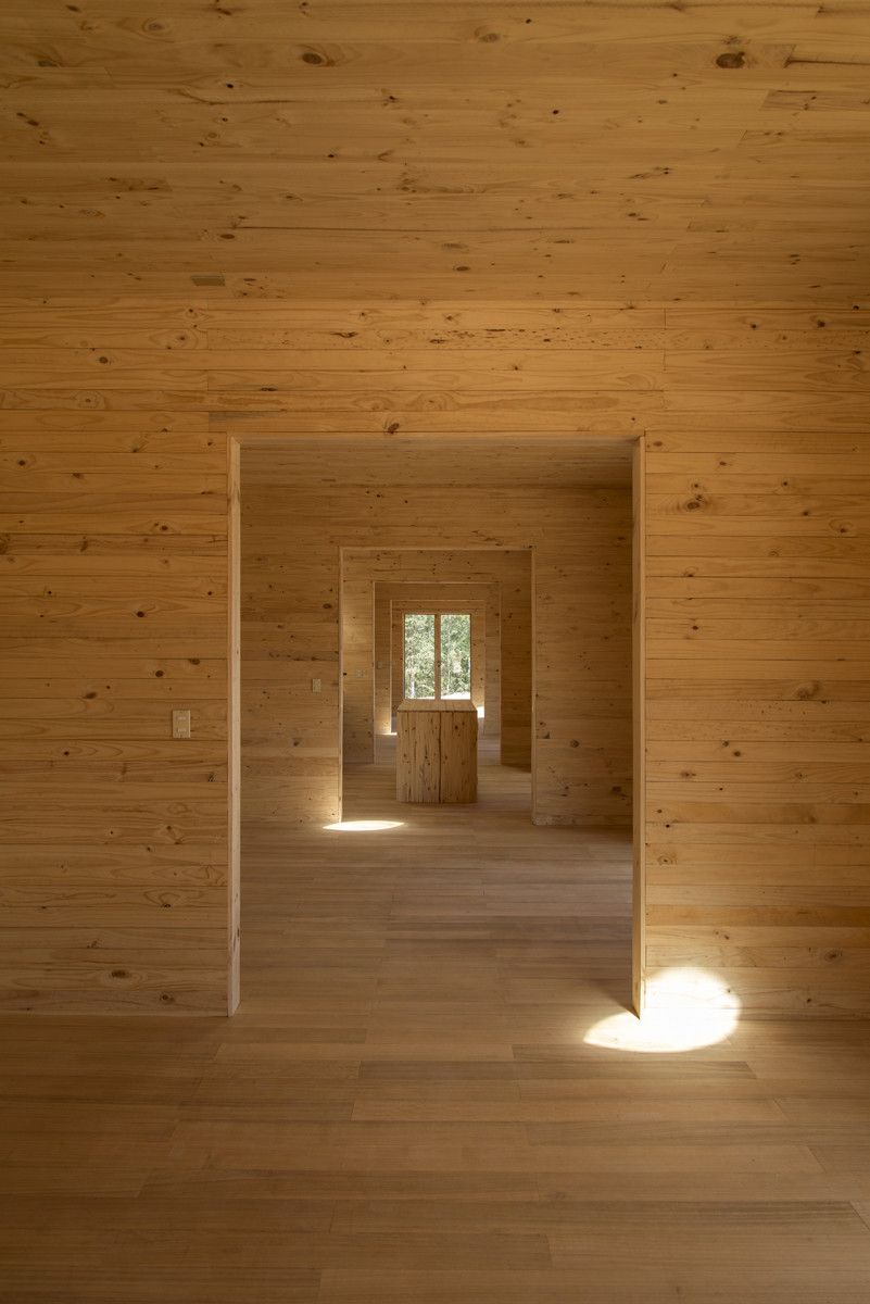 Galería de Casa Meri / Pezo Von Ellrichshausen - 5