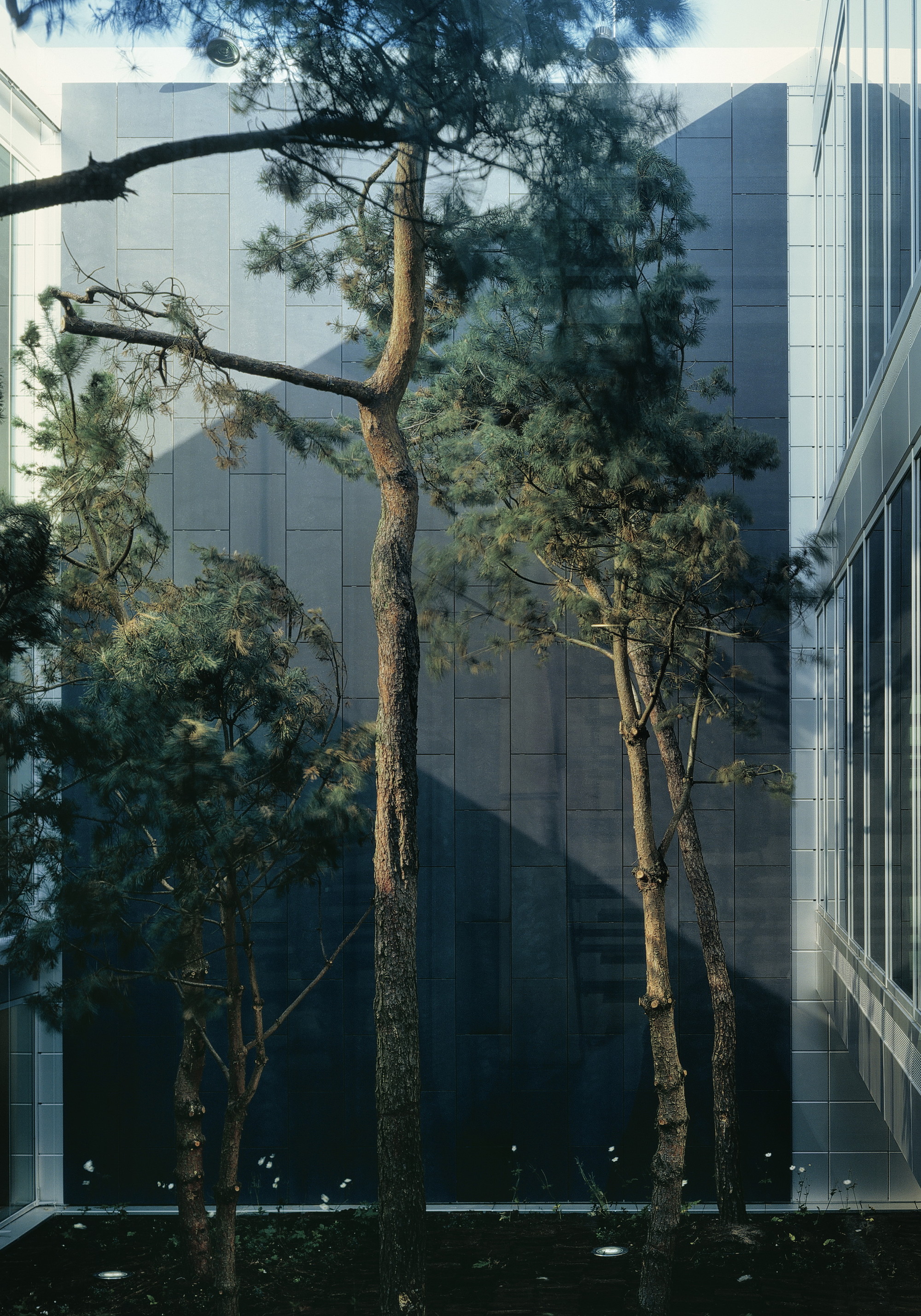 Gallery of ING House / MVSA Architects - 10