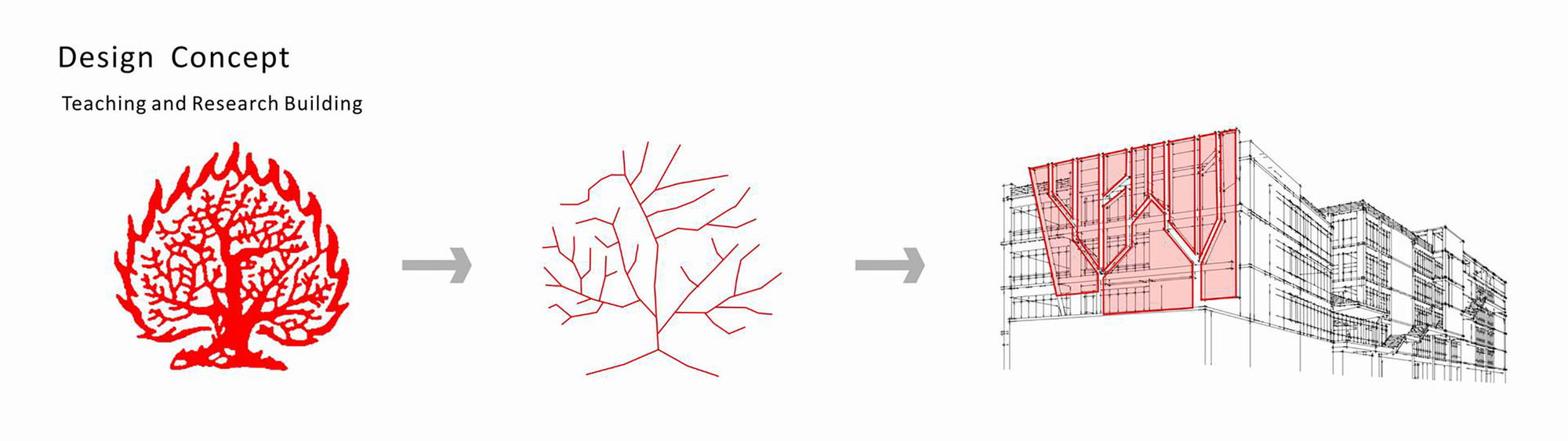 Gallery of Phase II Building Complex, Mackay Medical College / J. J ...