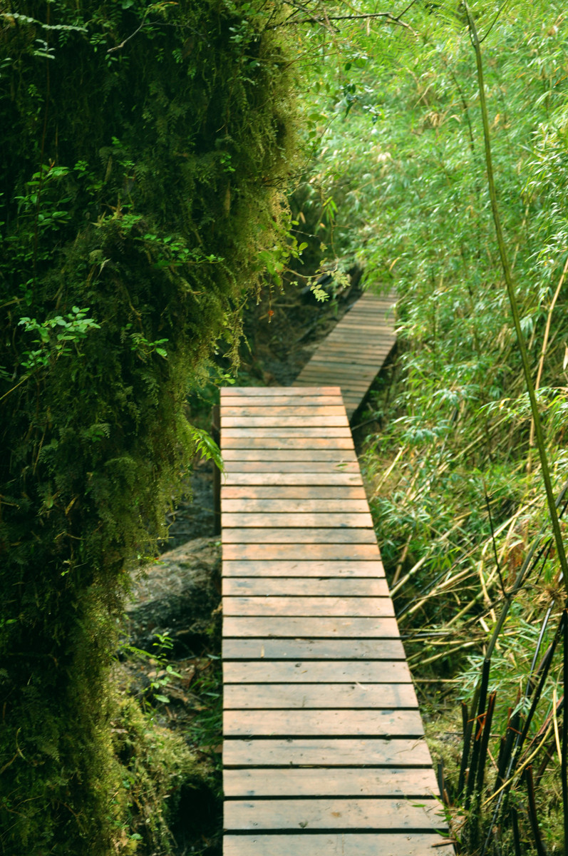 Galería de Refugio en los fiordos de la Patagonia / Armando Montero ...