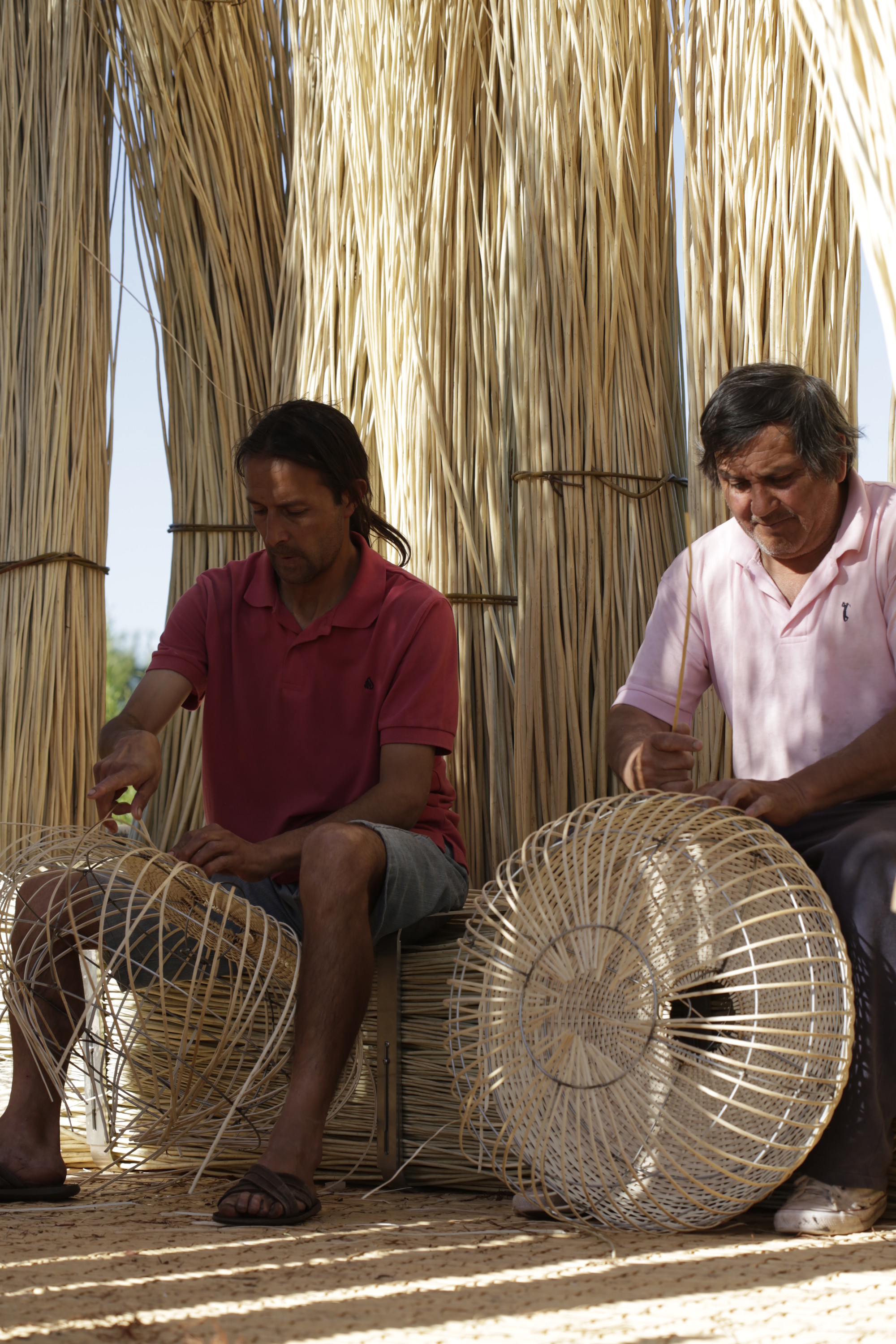 Gallery of Wicker Metamorphosis, a Productive Device by Normal ...