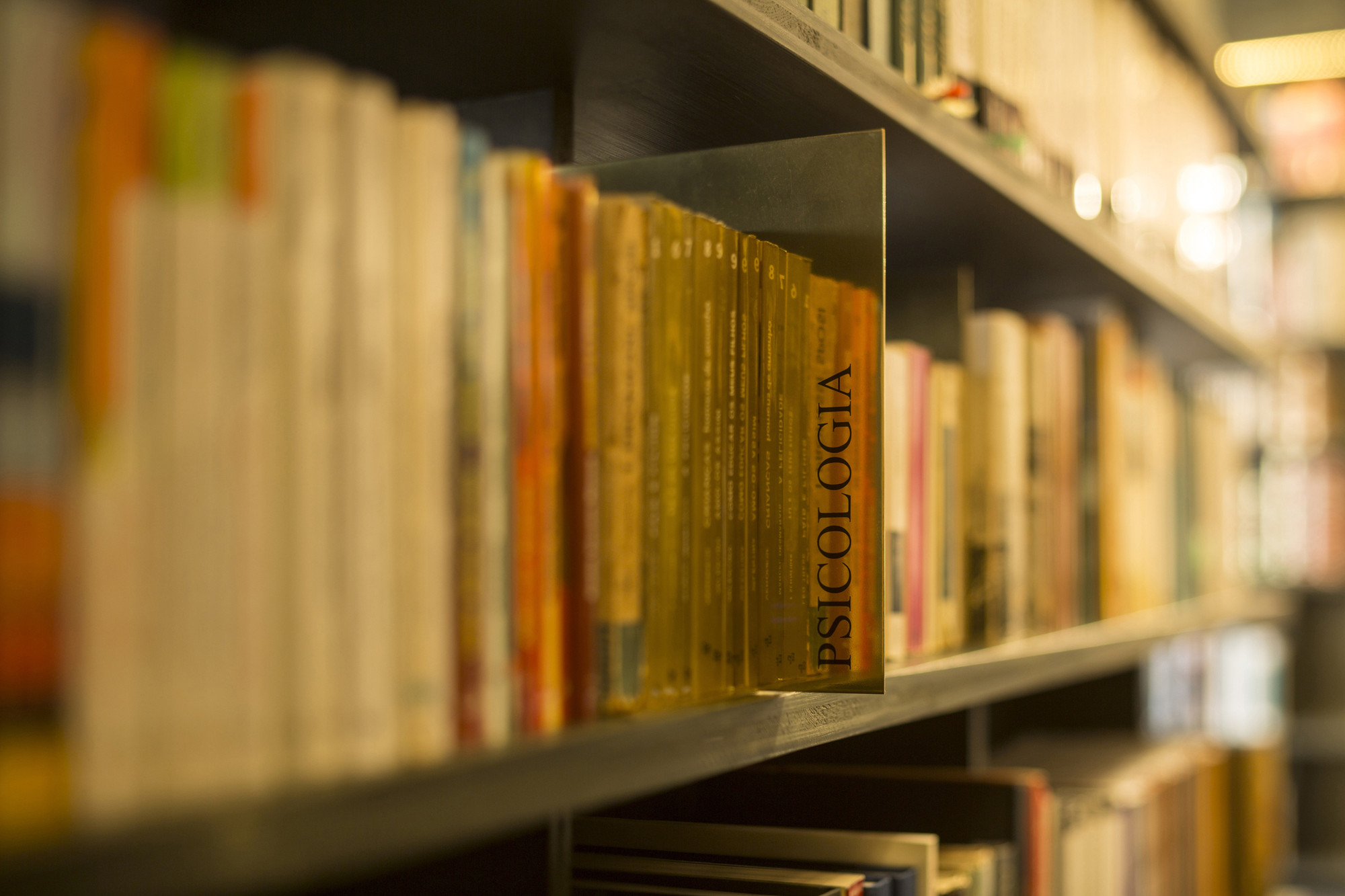 Gallery of São Paulo Library / Site Specific Arquitectura - 6