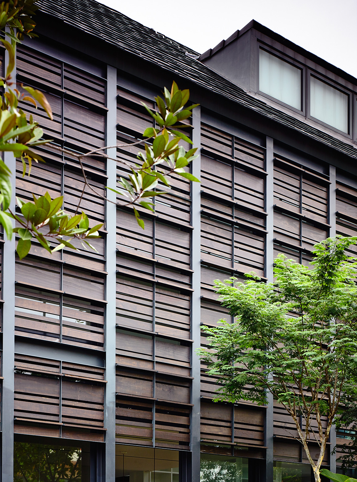 Galería de Terraza Faber / HYLA Architects - 13