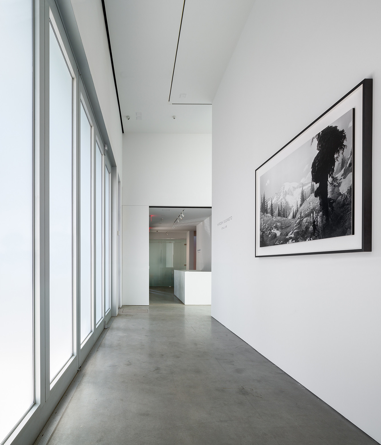 Gallery of Pace Gallery / HS2 Architecture - 2