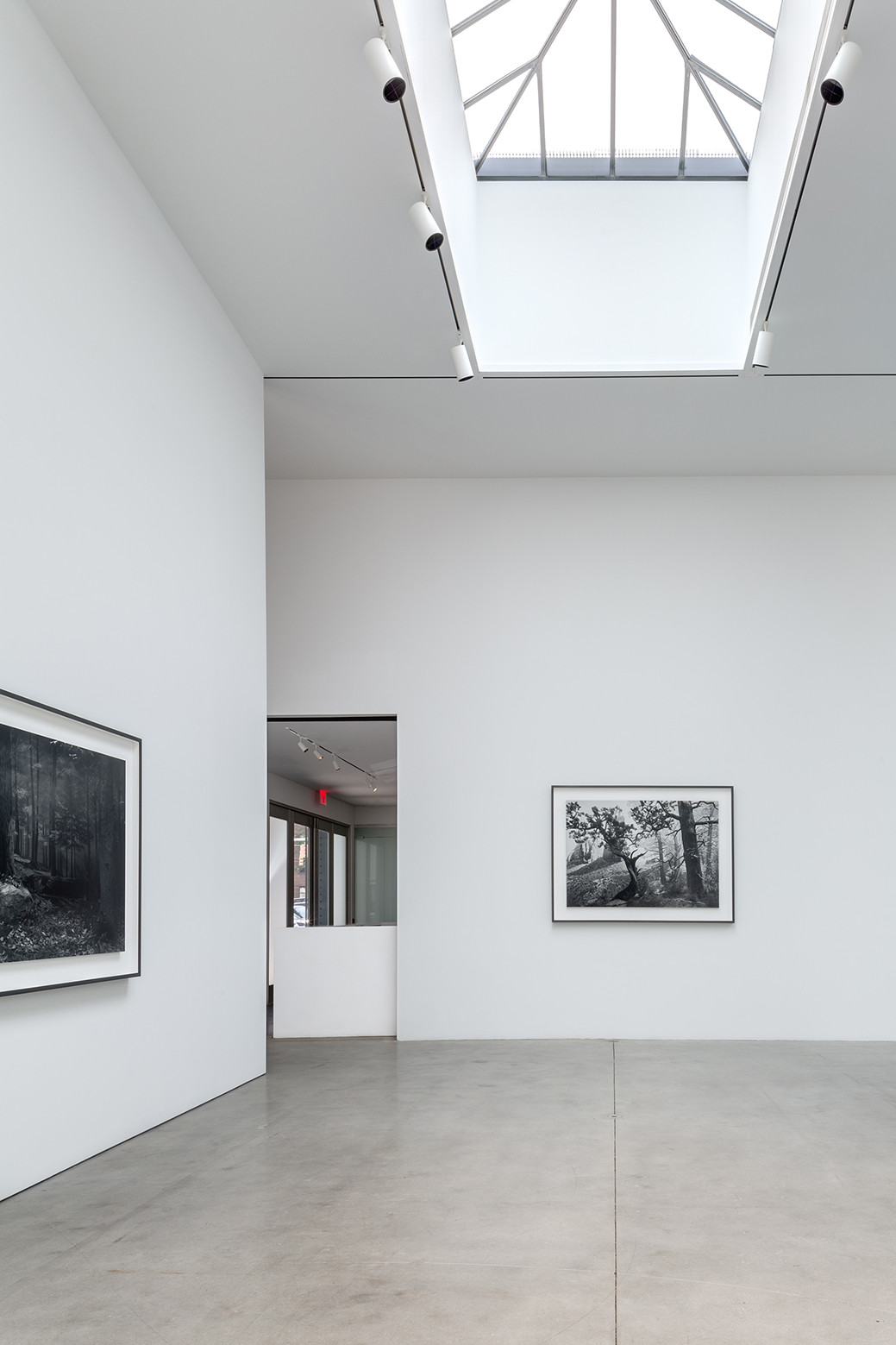 Gallery of Pace Gallery / HS2 Architecture - 7