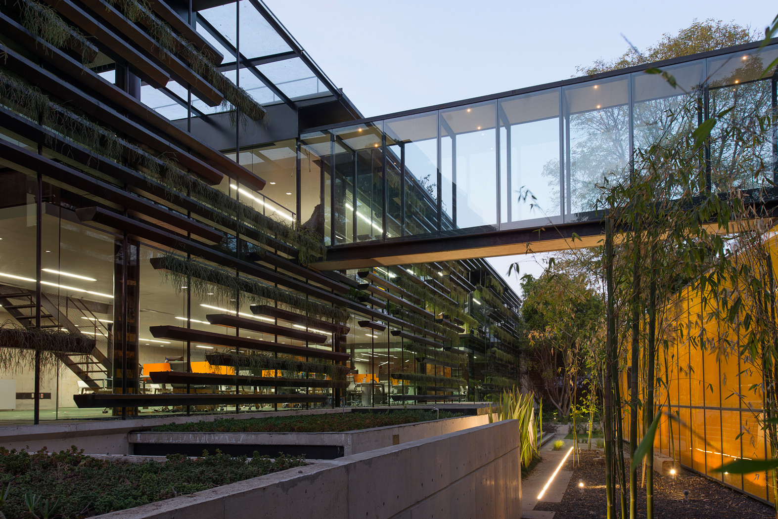 Gallery of Falcon Headquarters 2 / Rojkind Arquitectos + Gabriela ...