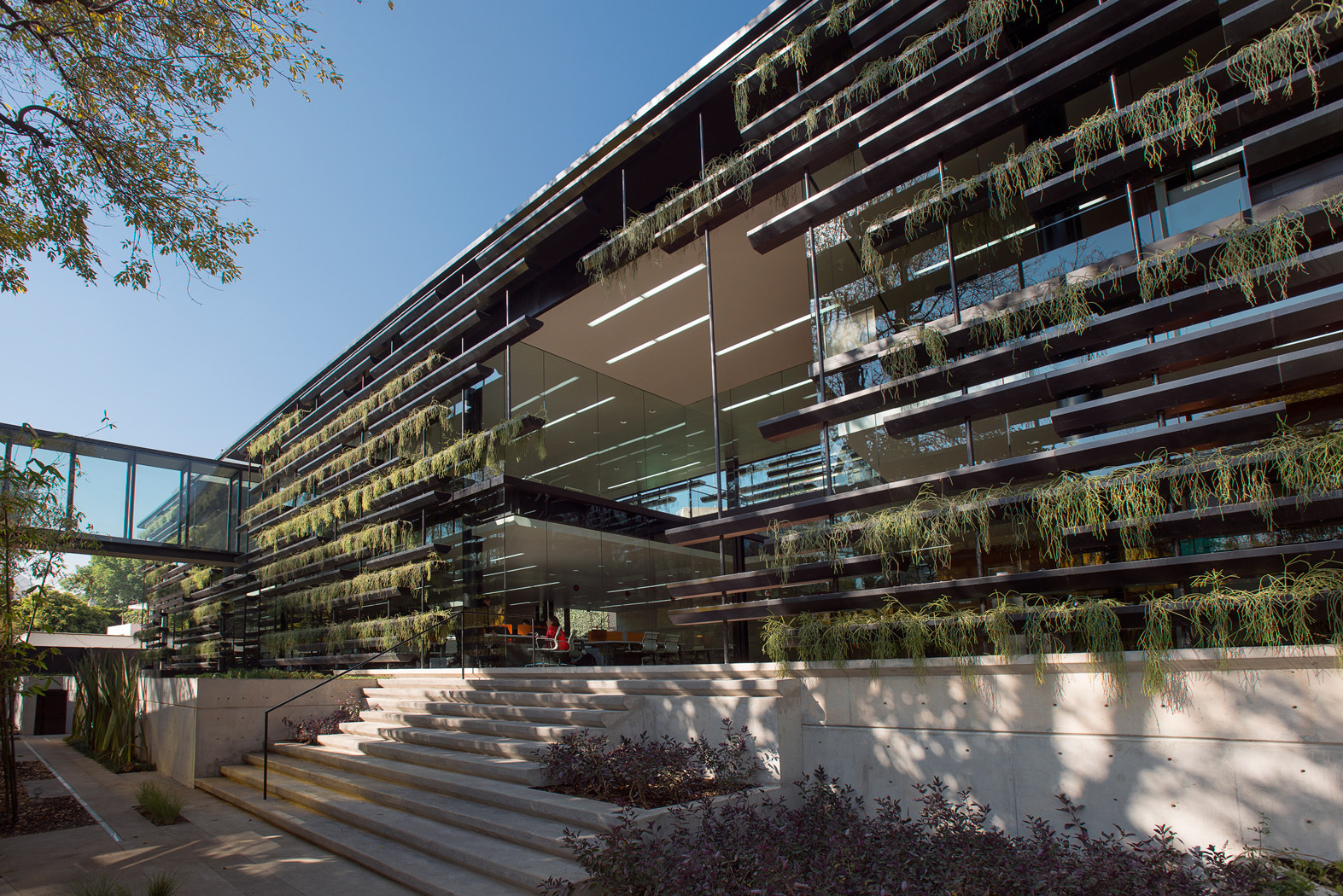 Gallery of Falcon Headquarters 2 / Rojkind Arquitectos + Gabriela ...
