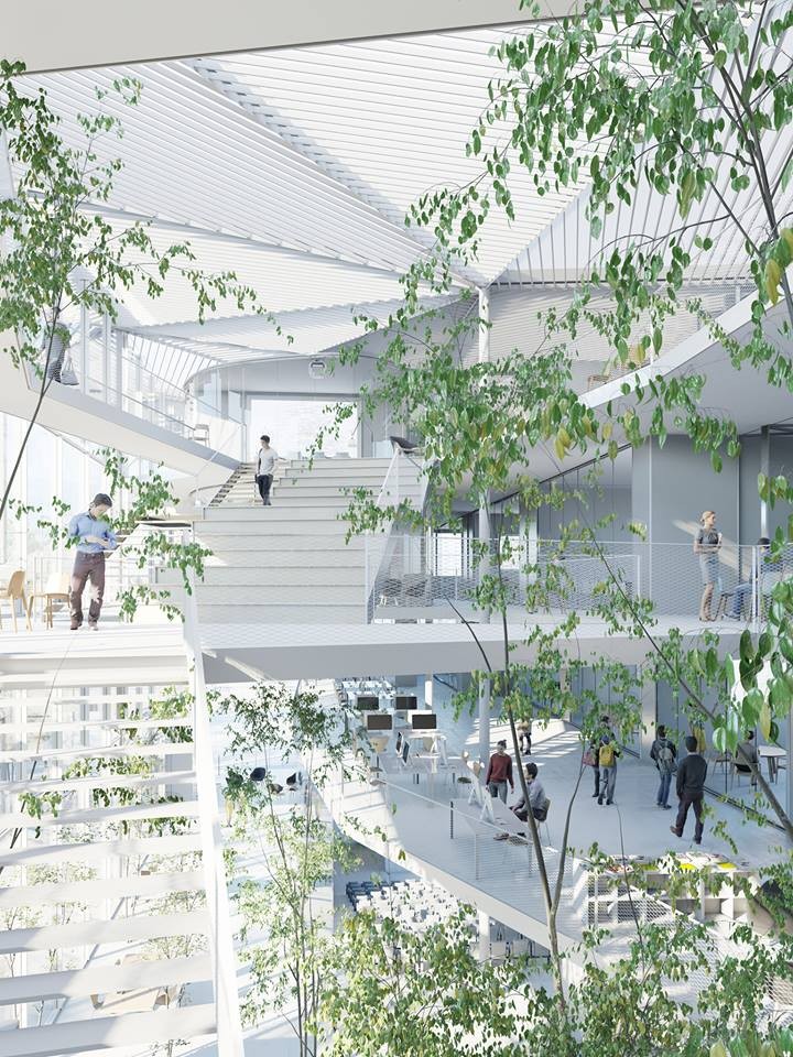 Gallery of Ecole Polytechnique Learning Centre / Sou Fujimoto ...