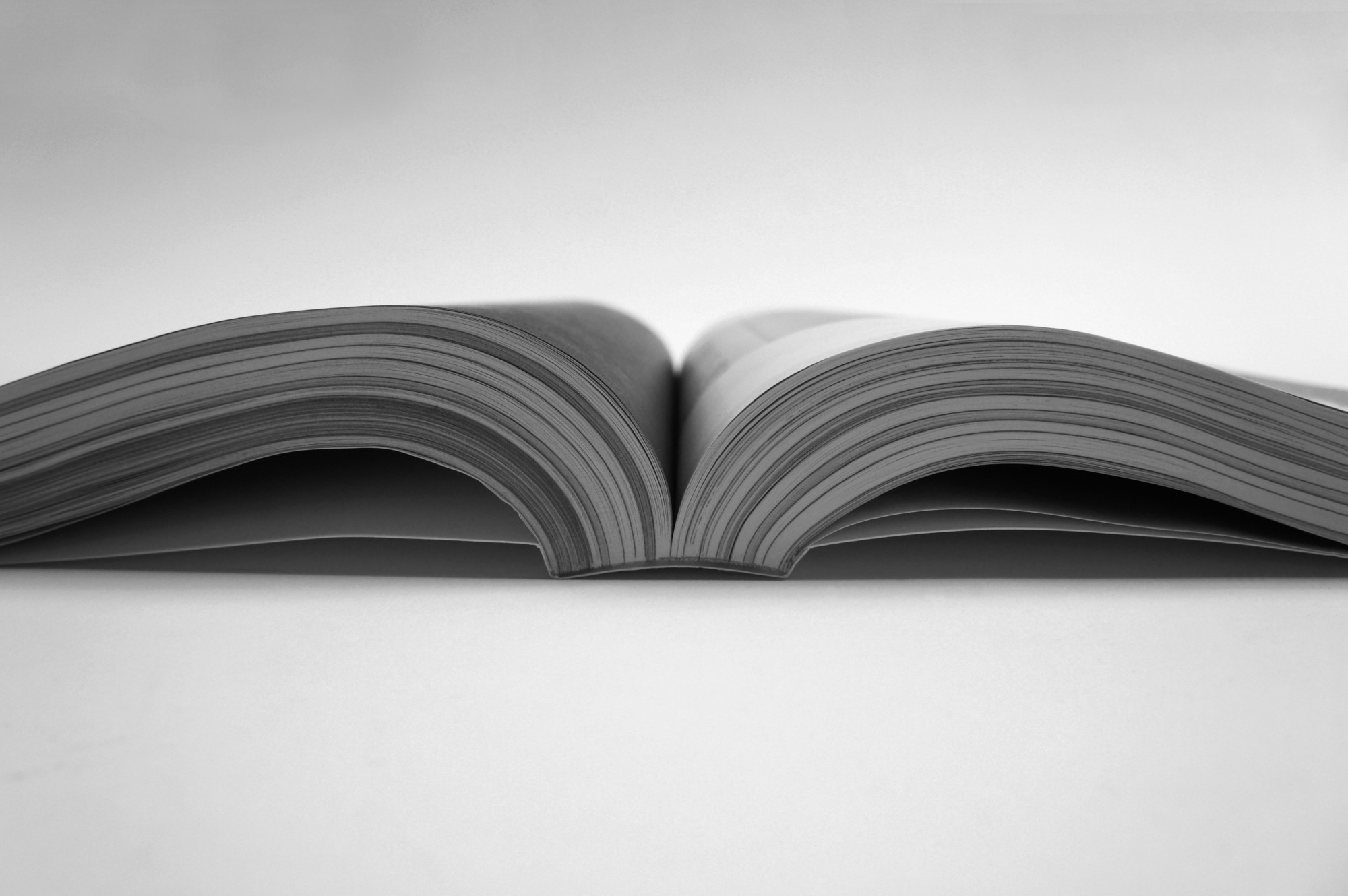 Gallery of San Rocco's Single Edition 'Book Of Copies' In Circulation - 2