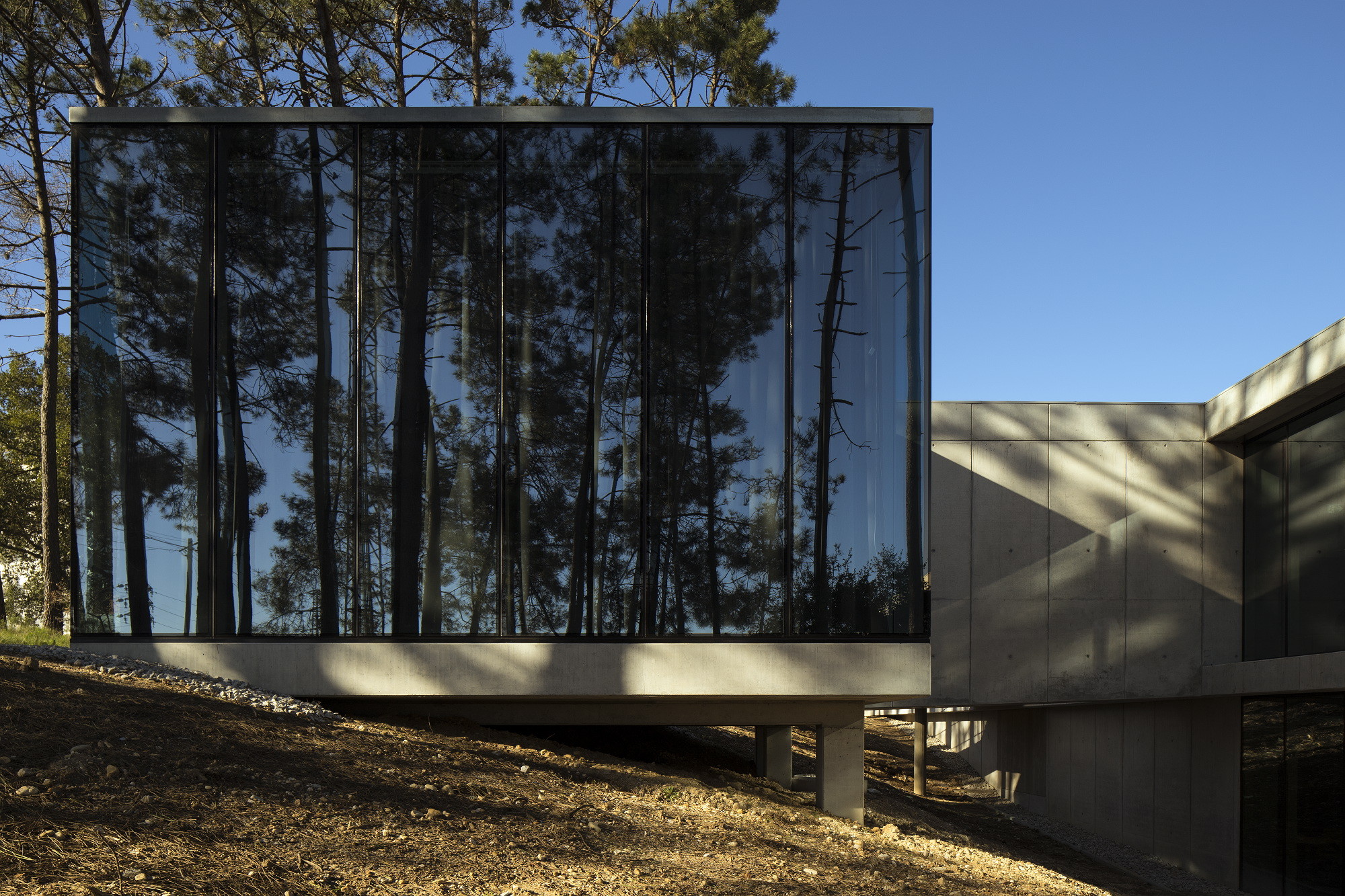 Gallery of EDP / RCA – Regino Cruz Arquitectos - 20