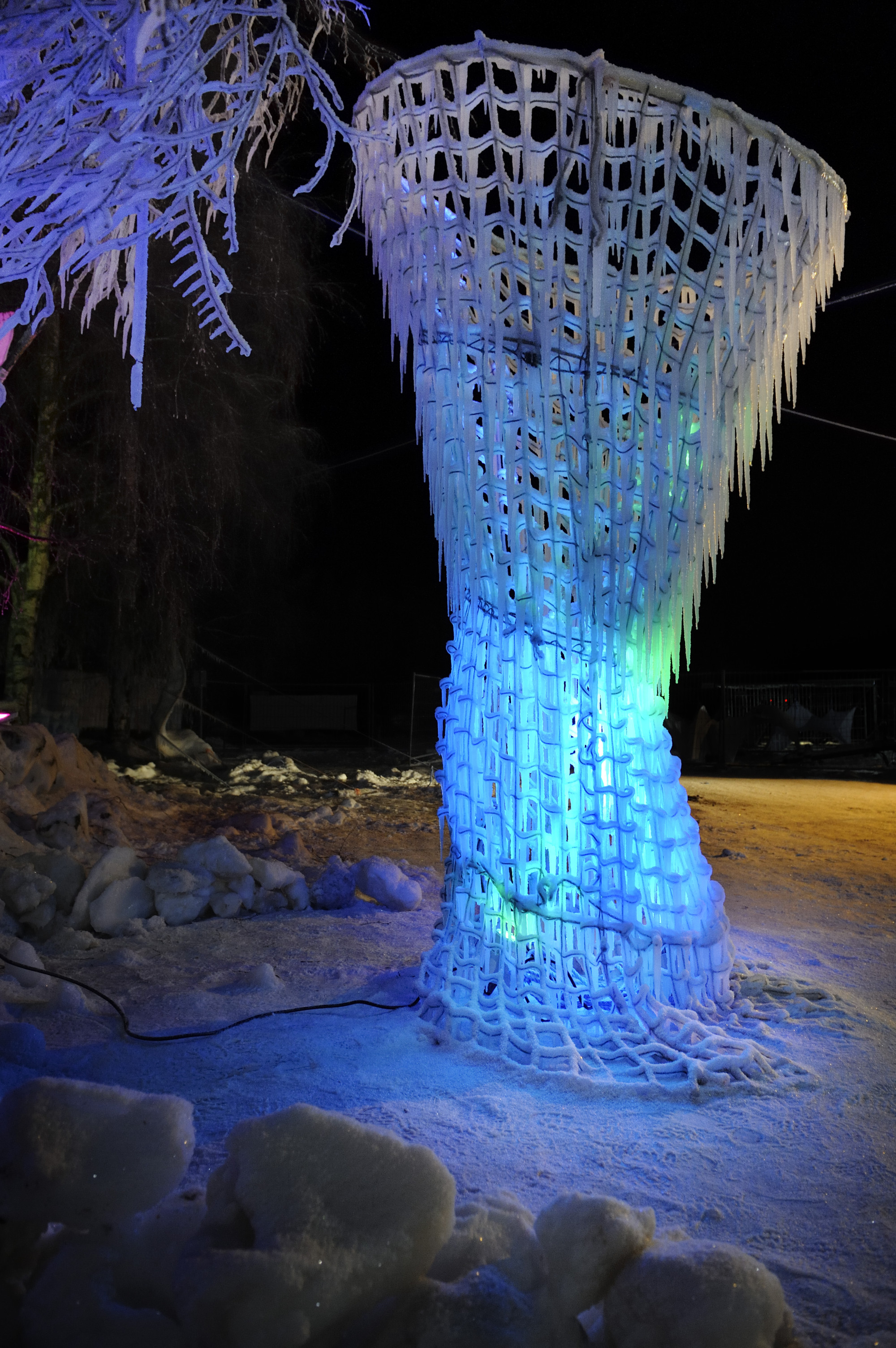 Gallery of TU/e Students to Build Leonardo da Vinci's Bridge Out of Ice - 3