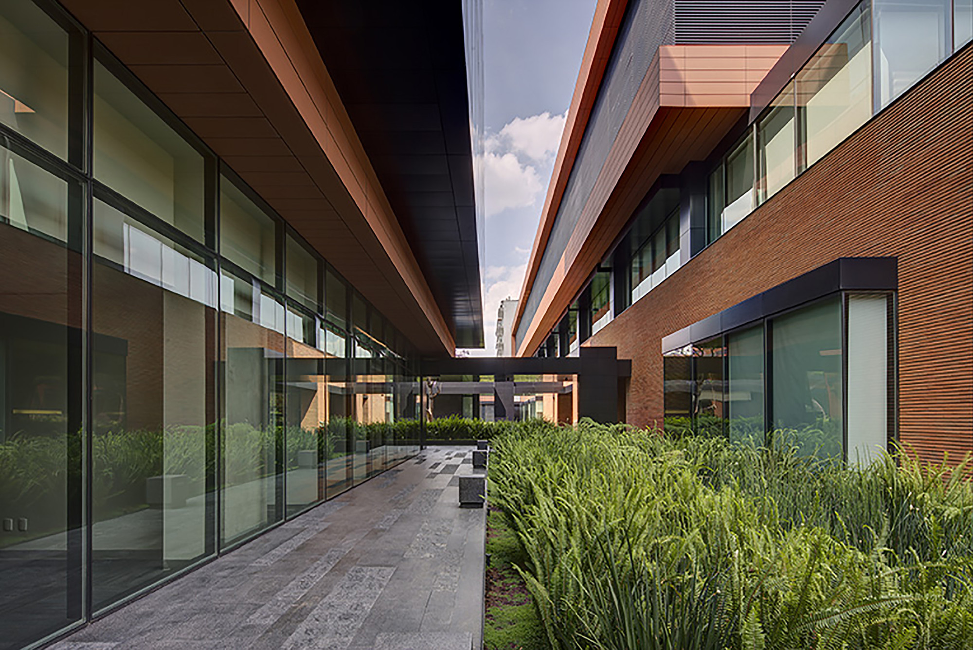 Galería de Arquitectura de Paisaje Campus Corporativo Coyoacán / DLC ...